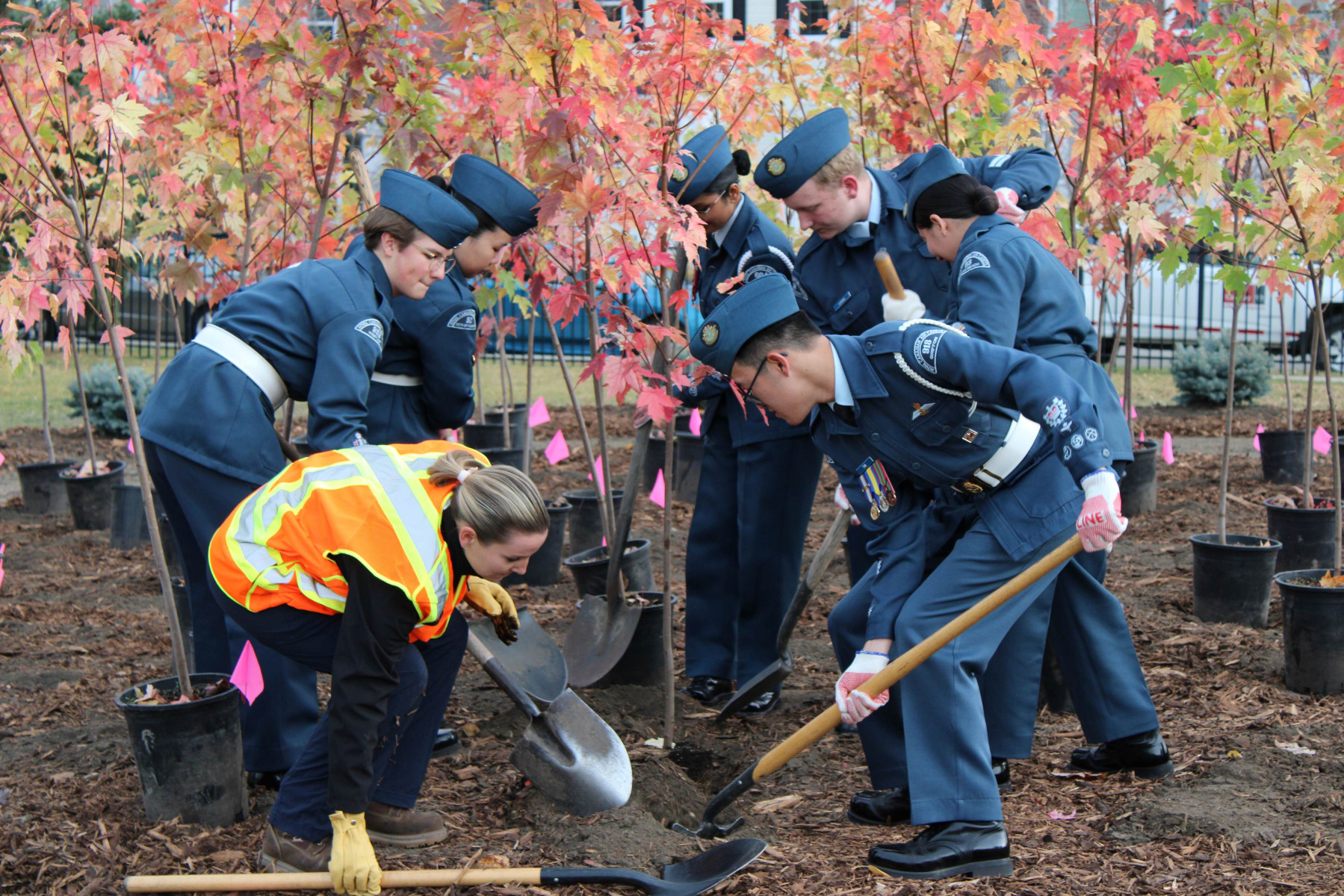 100 Trees Planted to Memorialize RCAF 2024 Centennial
