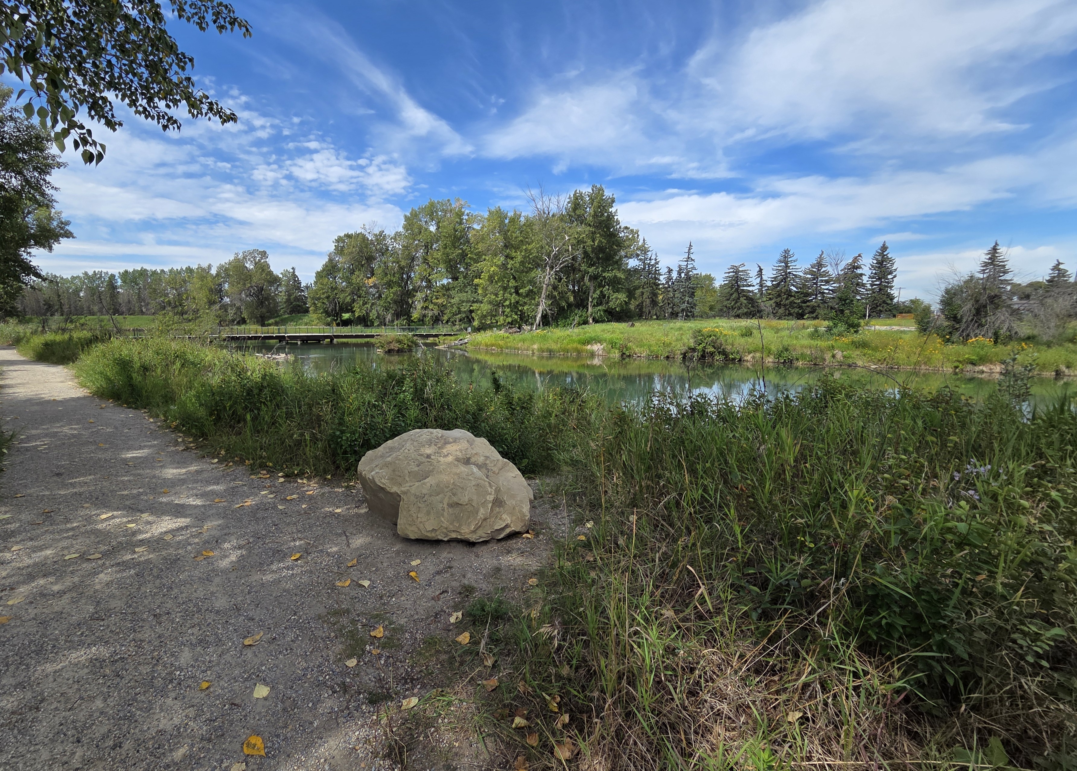 Calgary’s First Forest Bathing Trail Opens at Inglewood Bird Sanctuary ...