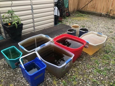 Update June 28: Critical water main break affecting city-wide water usage