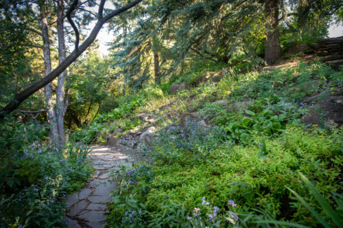 Calgary’s parks awarded first Green Flag Award in Canada