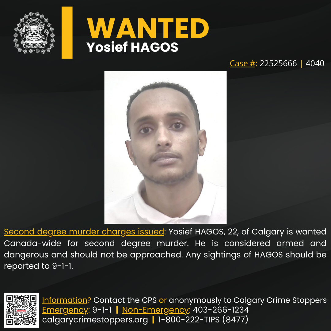 UPDATE #3 – Police investigate fatal shooting in Forest Lawn