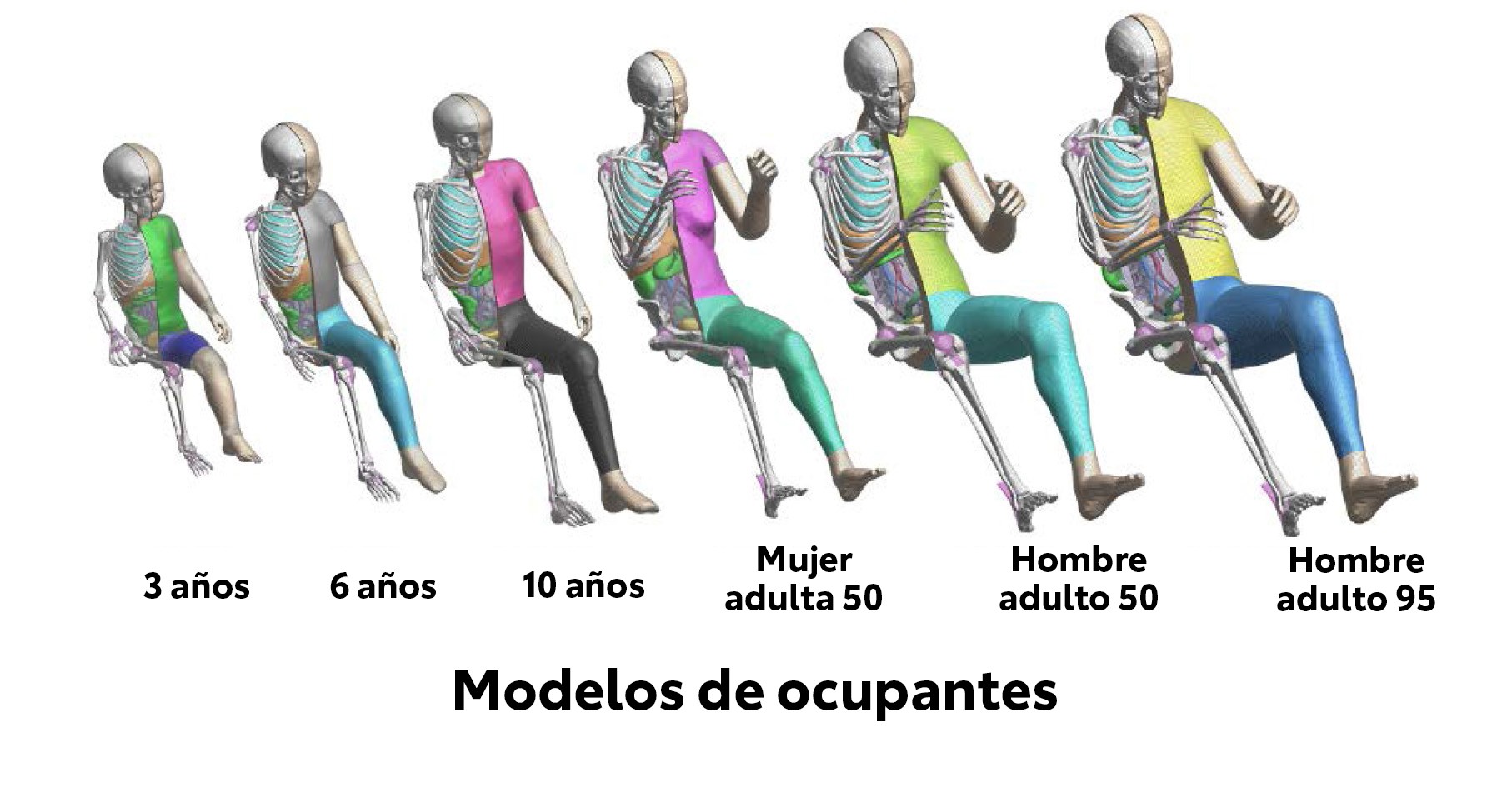 Más de 400 descargas en los primeros meses de acceso libre a los ...