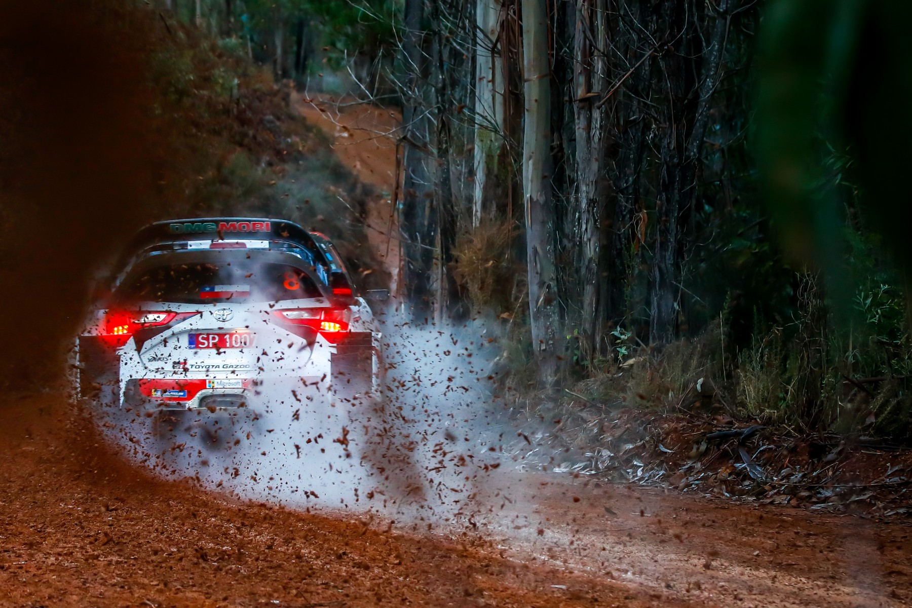 Rally Chile: Day 1