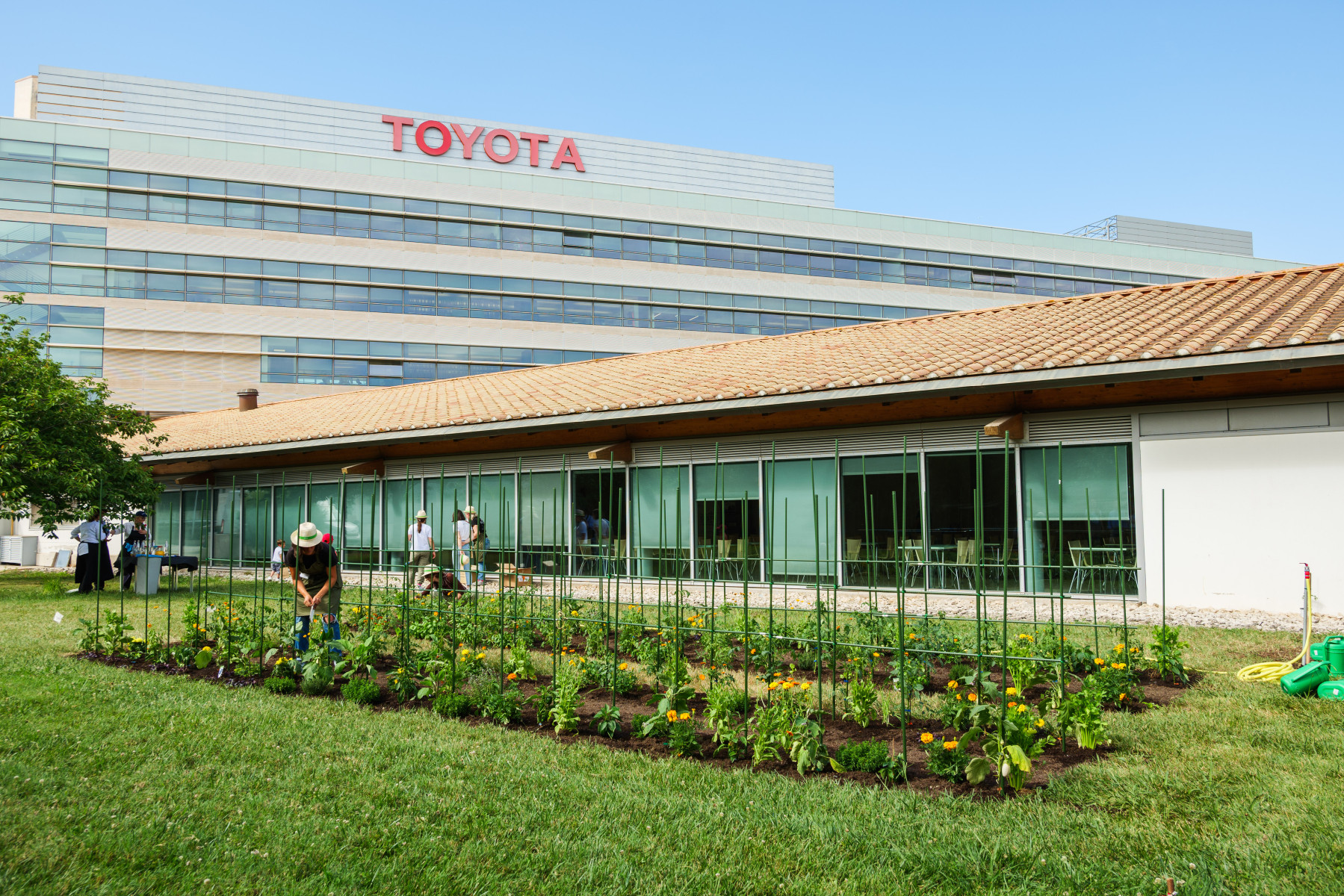 Toyota promuove la sostenibilità e l'impegno per l'ambiente con la ...
