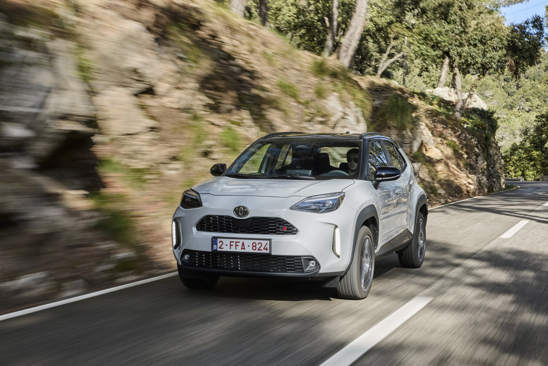 Toyota's multi-pathway approach leads to record sales