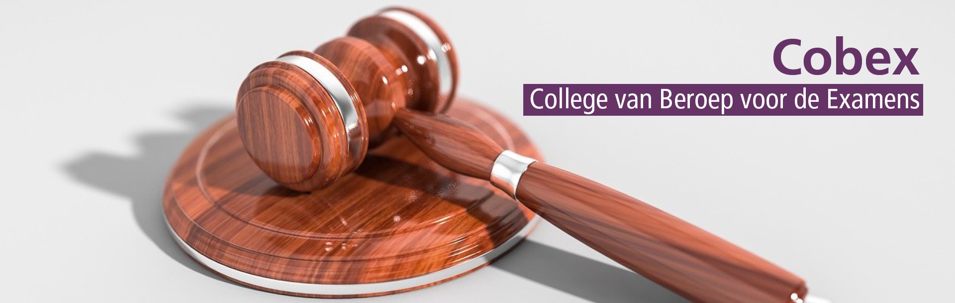 Meebeslissen tijdens hoorzittingen van Cobex?