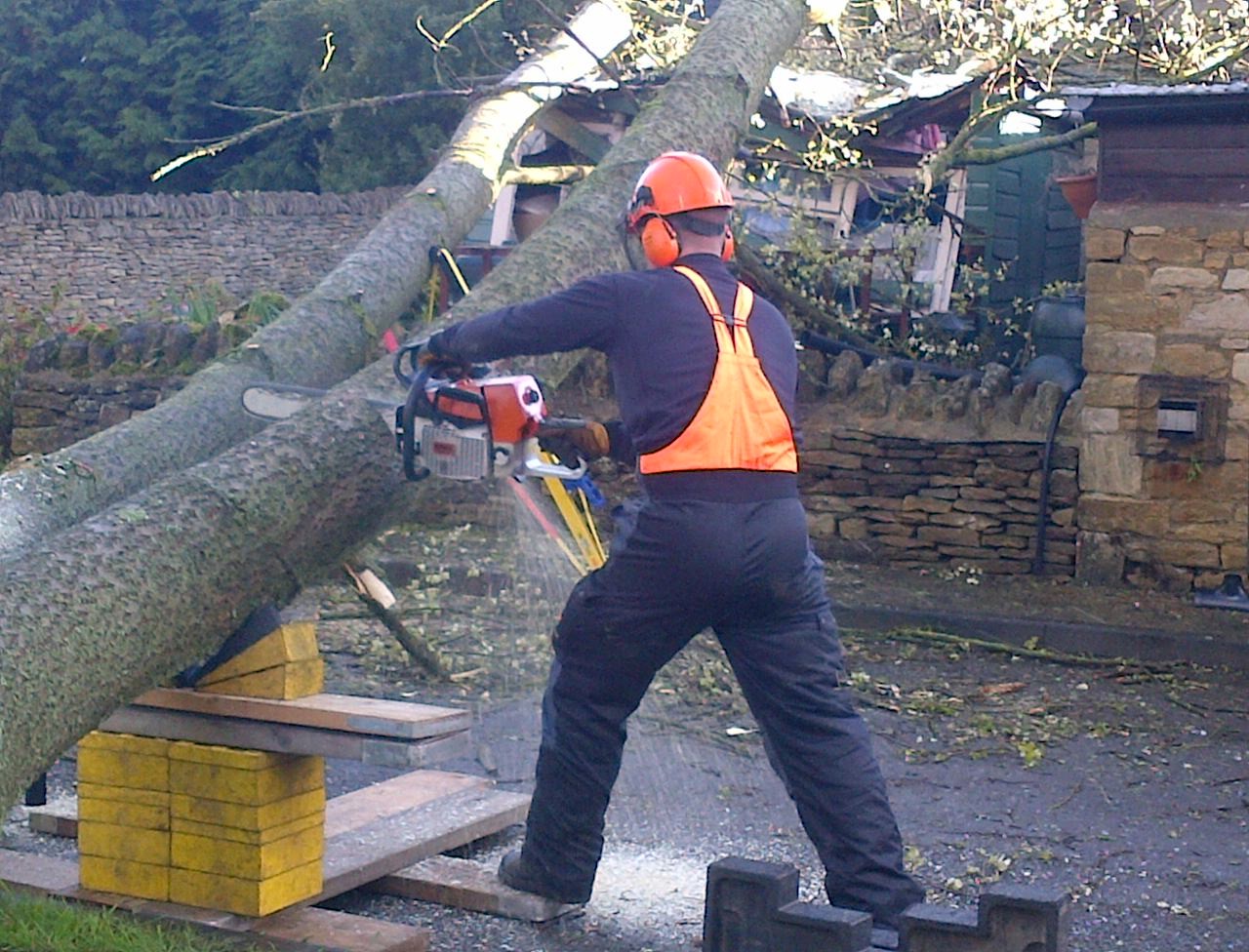 Fire service trials emergency tree clearing service