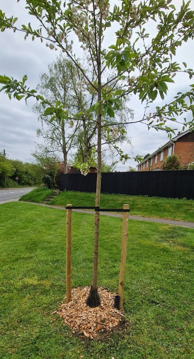 Oxfordshire County Council offered £150,000 in government funding to ...