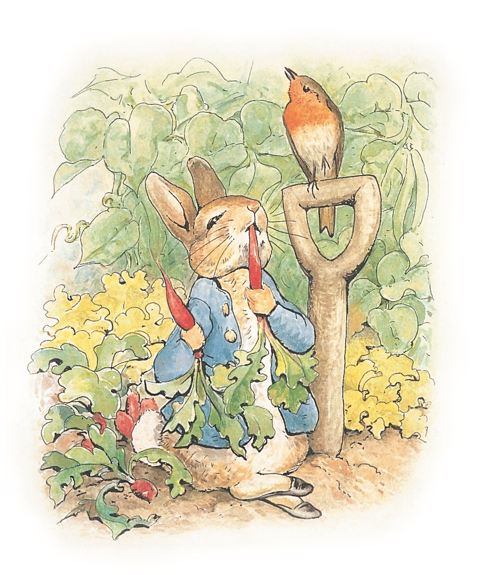 Peter Rabbit™ bounces into action for museum’s big new summer show