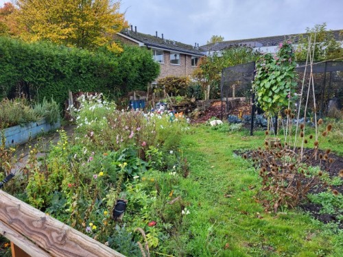 How Hannah grows with the flowers at Wantage Market Garden