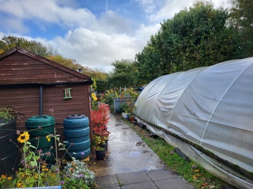 How Hannah grows with the flowers at Wantage Market Garden