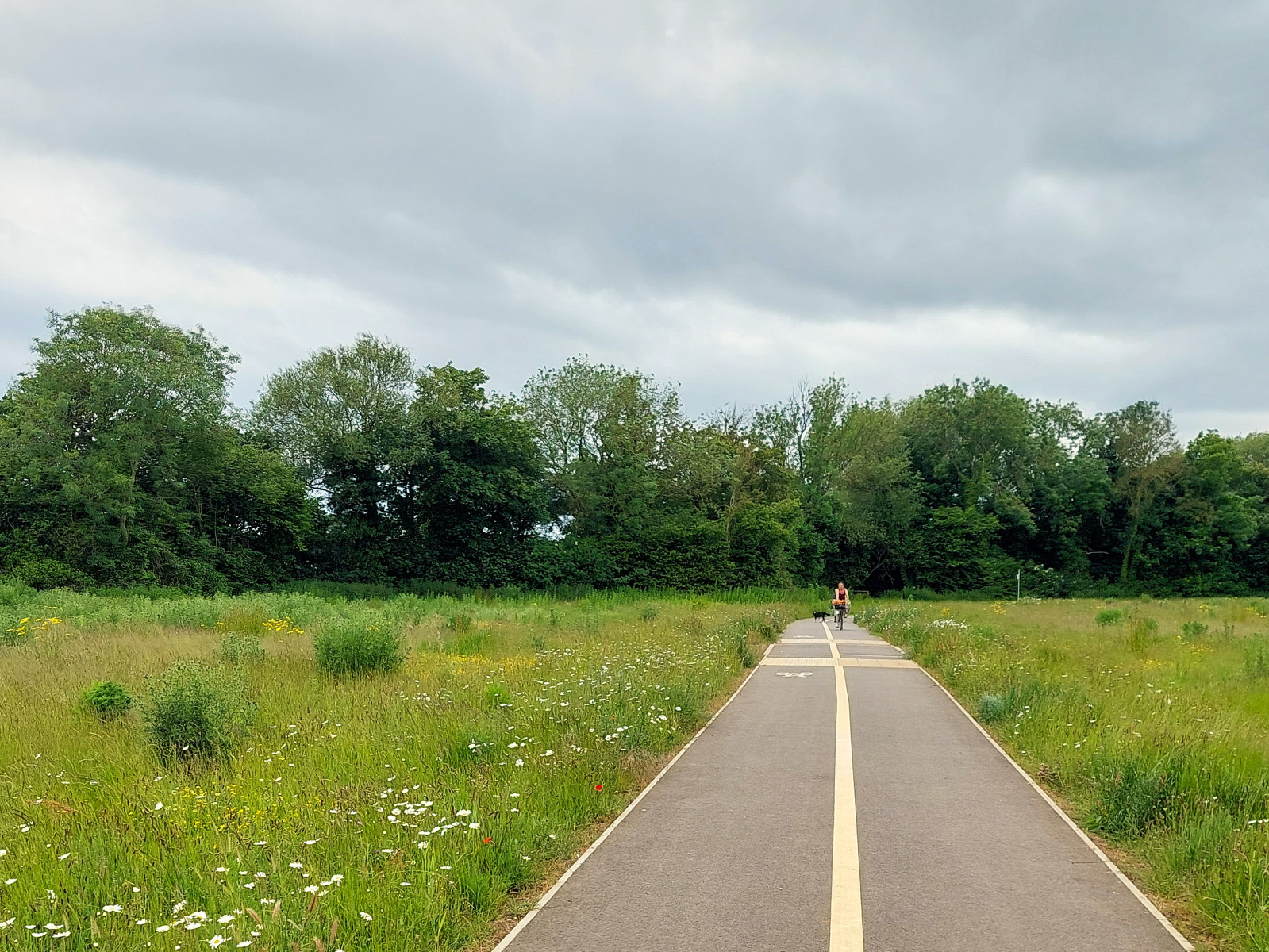 Have your say on plans to create new walking and cycling routes into Oxford