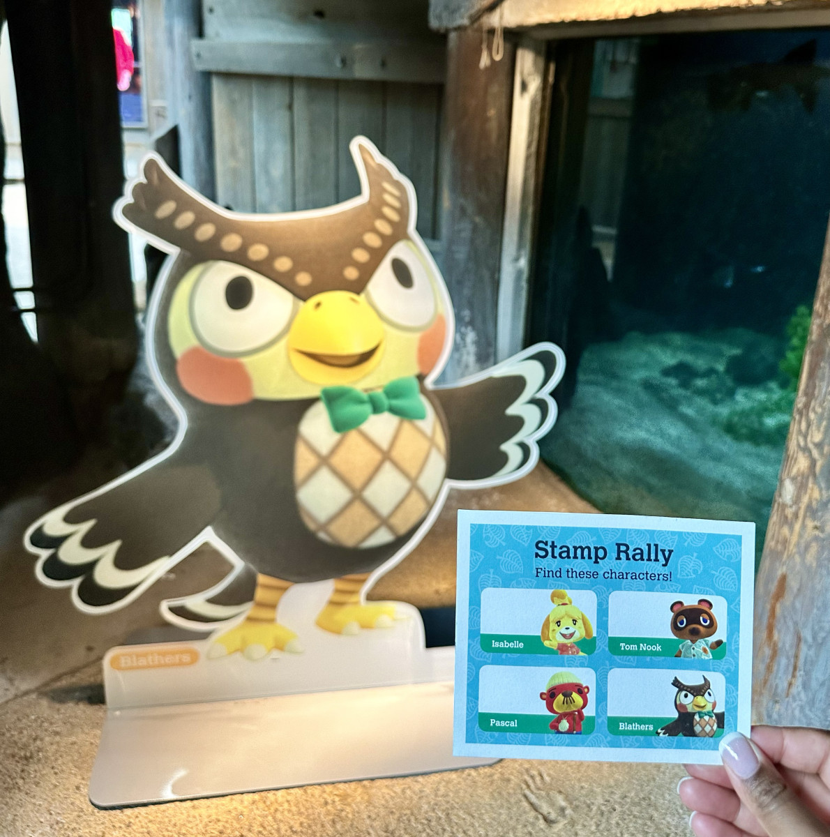 Audubon Aquarium Hosts Stamp Rally and Celebrates Members