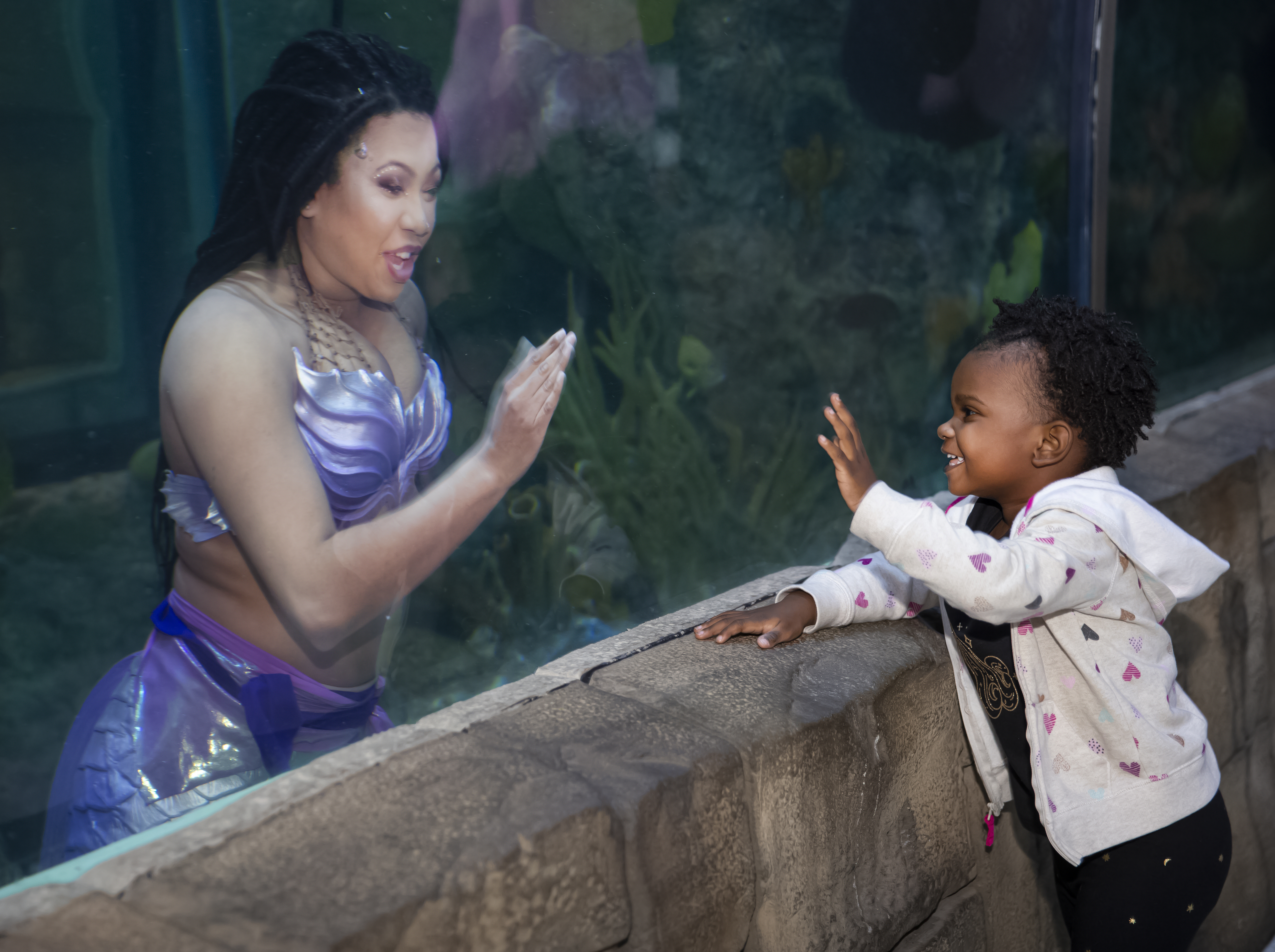 Mermaids Splash Into Audubon Aquarium