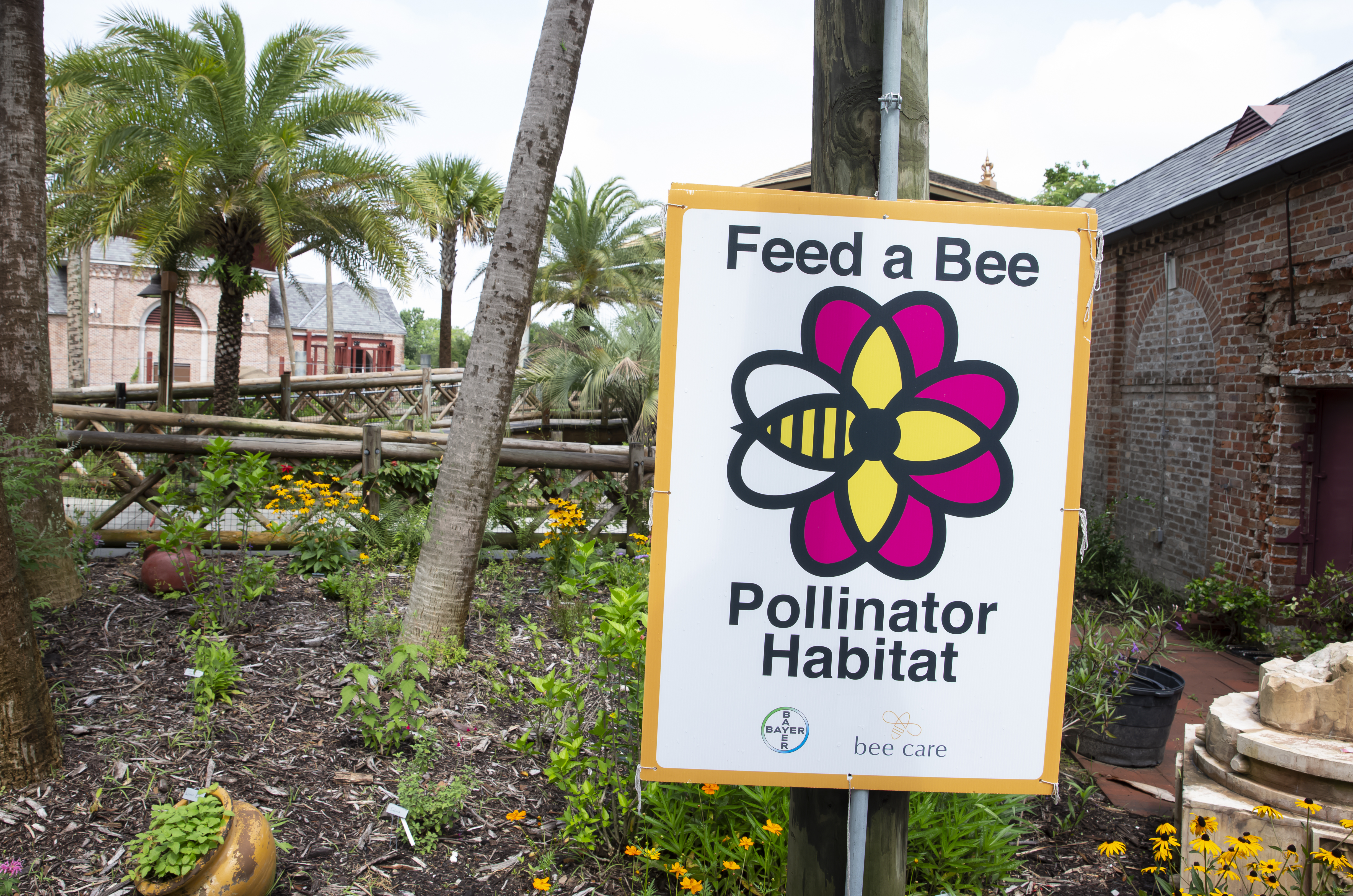Pollination Celebration at Audubon Insectarium
