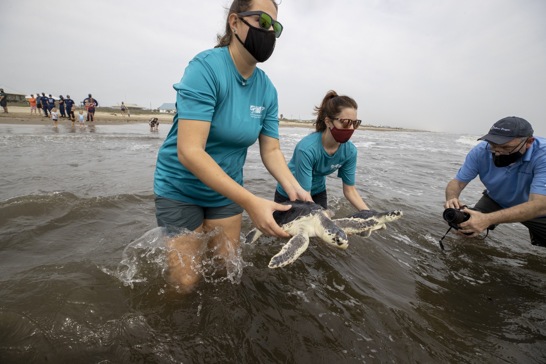 Audubon Coastal Wildlife Network’s “Krewe of Turtles” Parade Back Into ...