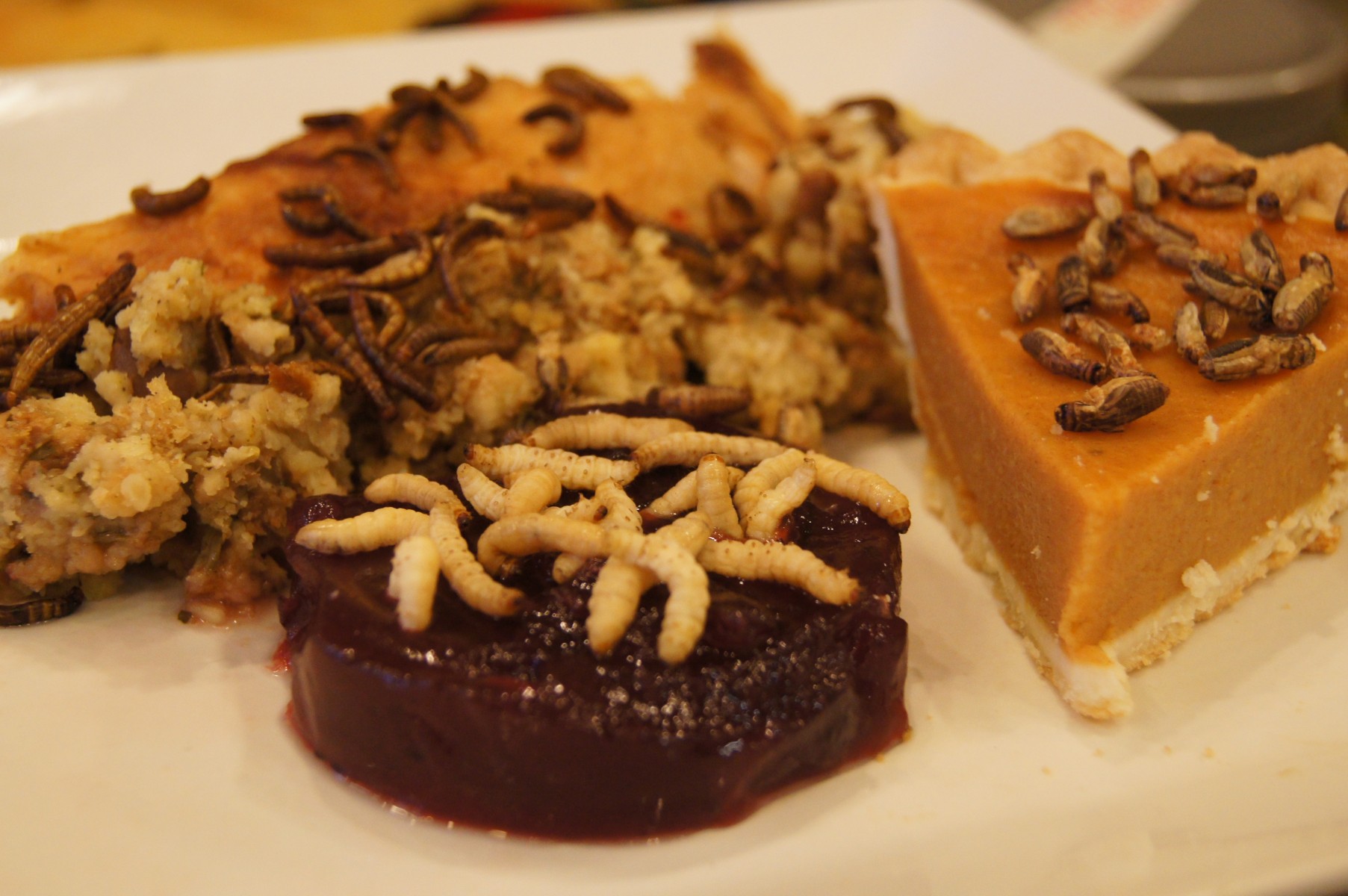 Bugout this Thanksgiving Season at Audubon Butterfly Garden and Insectarium