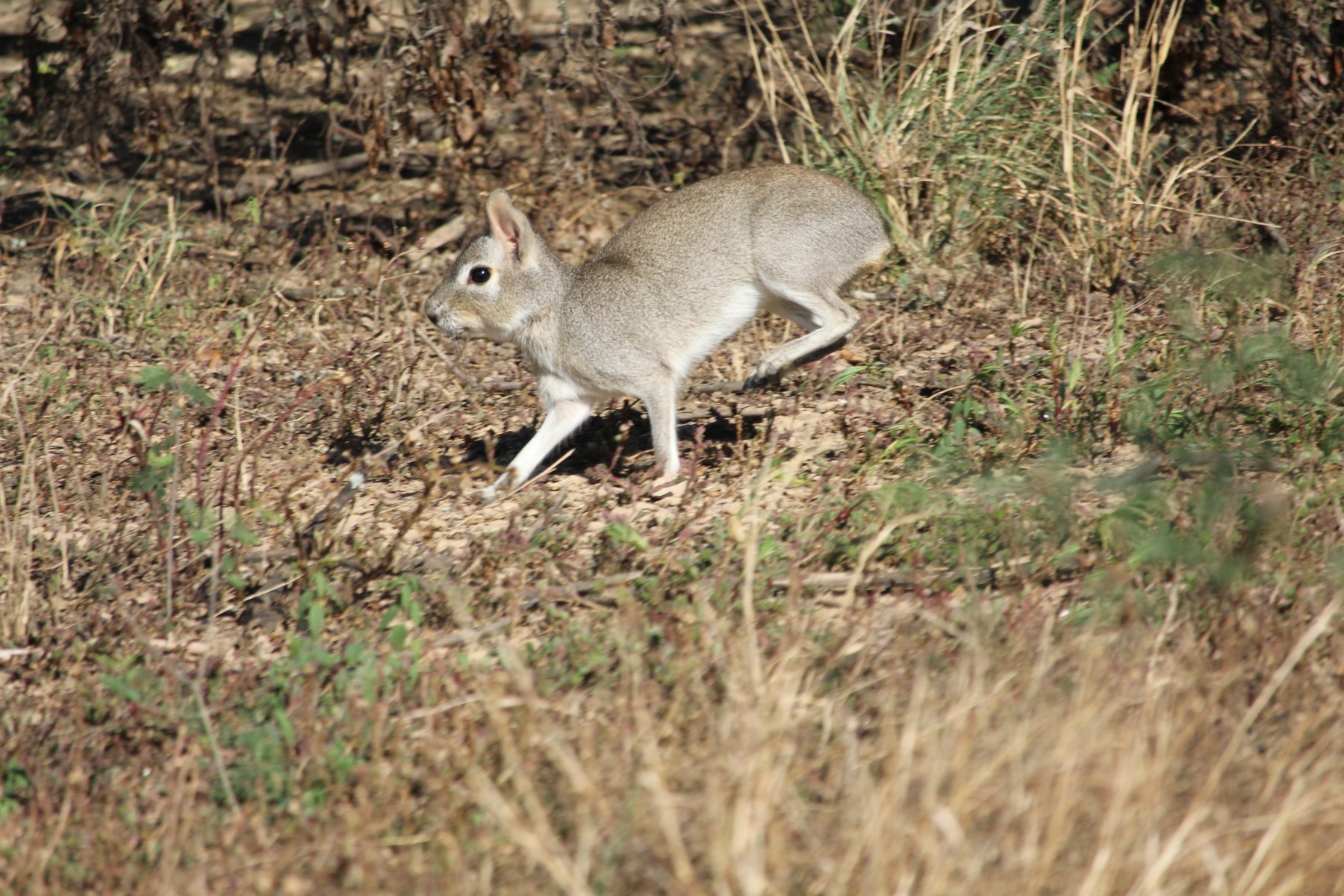 Audubon Nature Institute Newsroom - New Orleans - Audubon Nature Institute