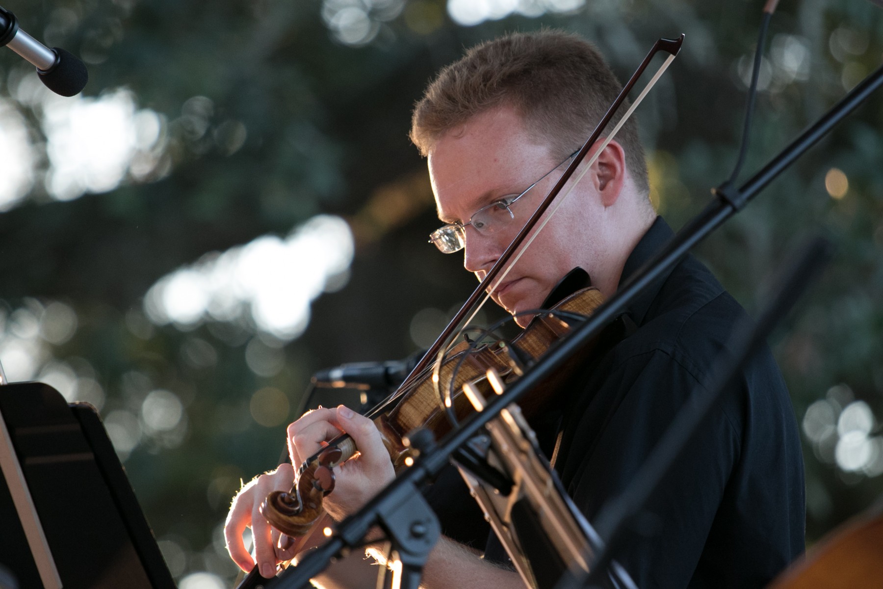 Music Under the Oaks