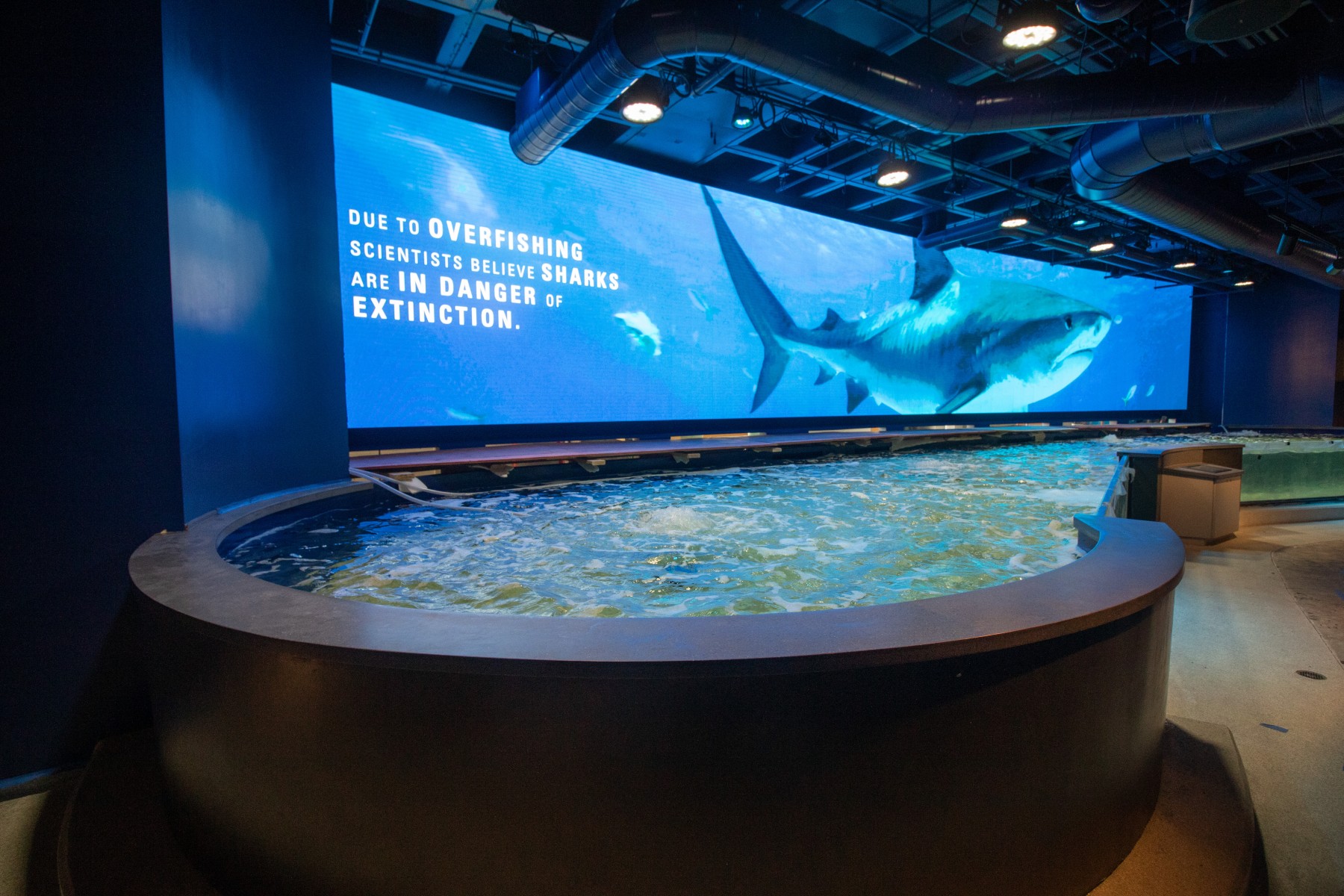 FINtastic Shark Week Announcement at Audubon Aquarium of the Americas