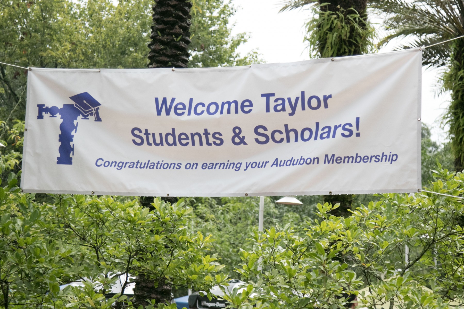 Taylor Scholars Awards Program Sets New Record