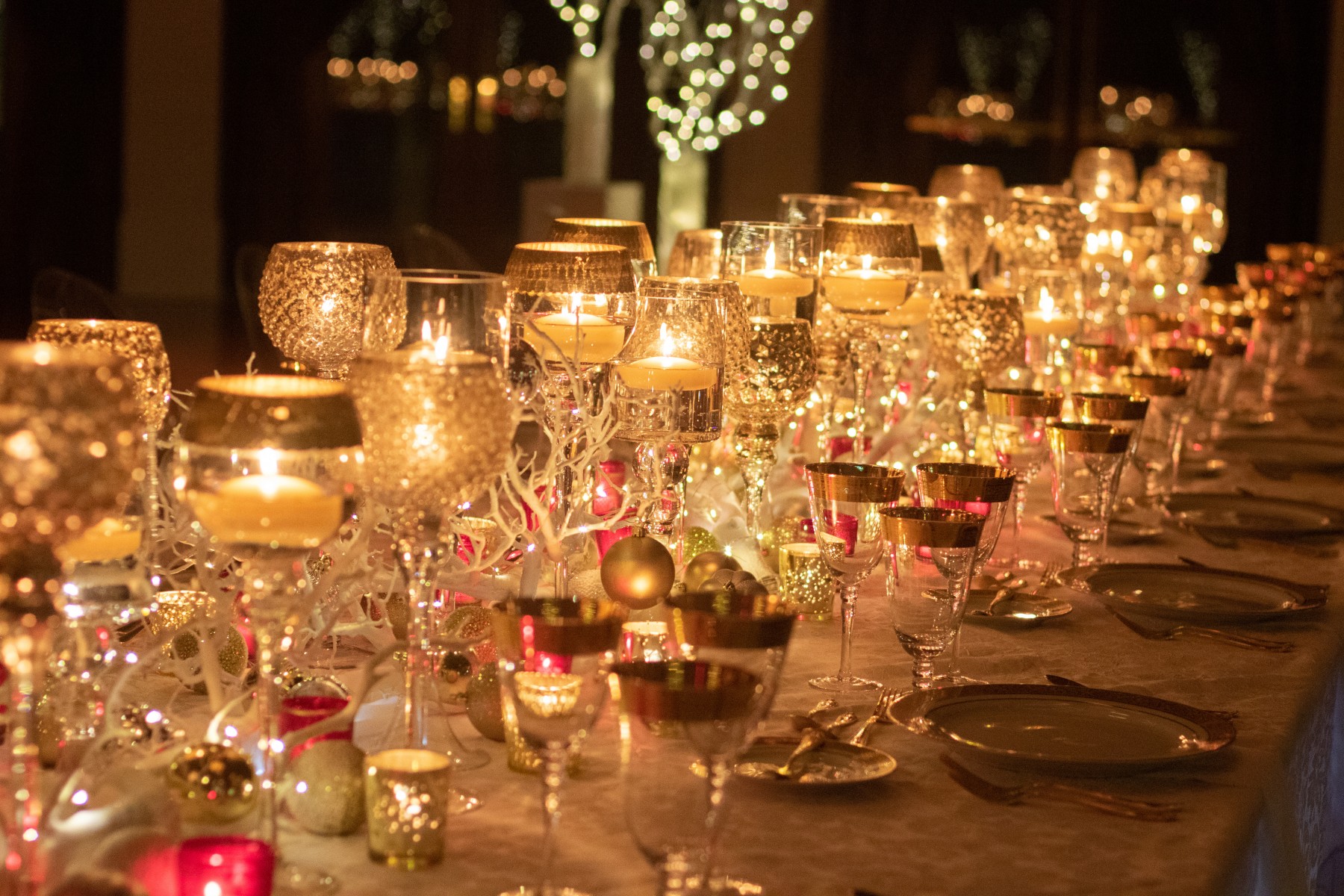 Dine Under the Holiday Lights at Audubon Supper Club