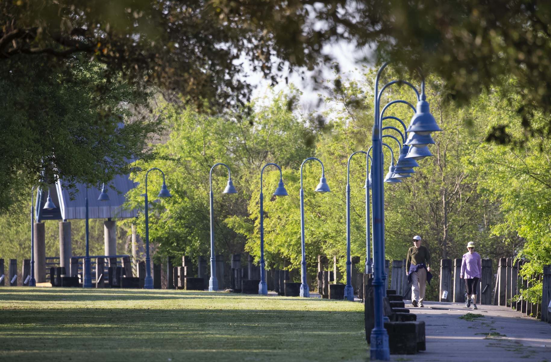 Audubon Nature Institute Announces Plan for Phased Reopening