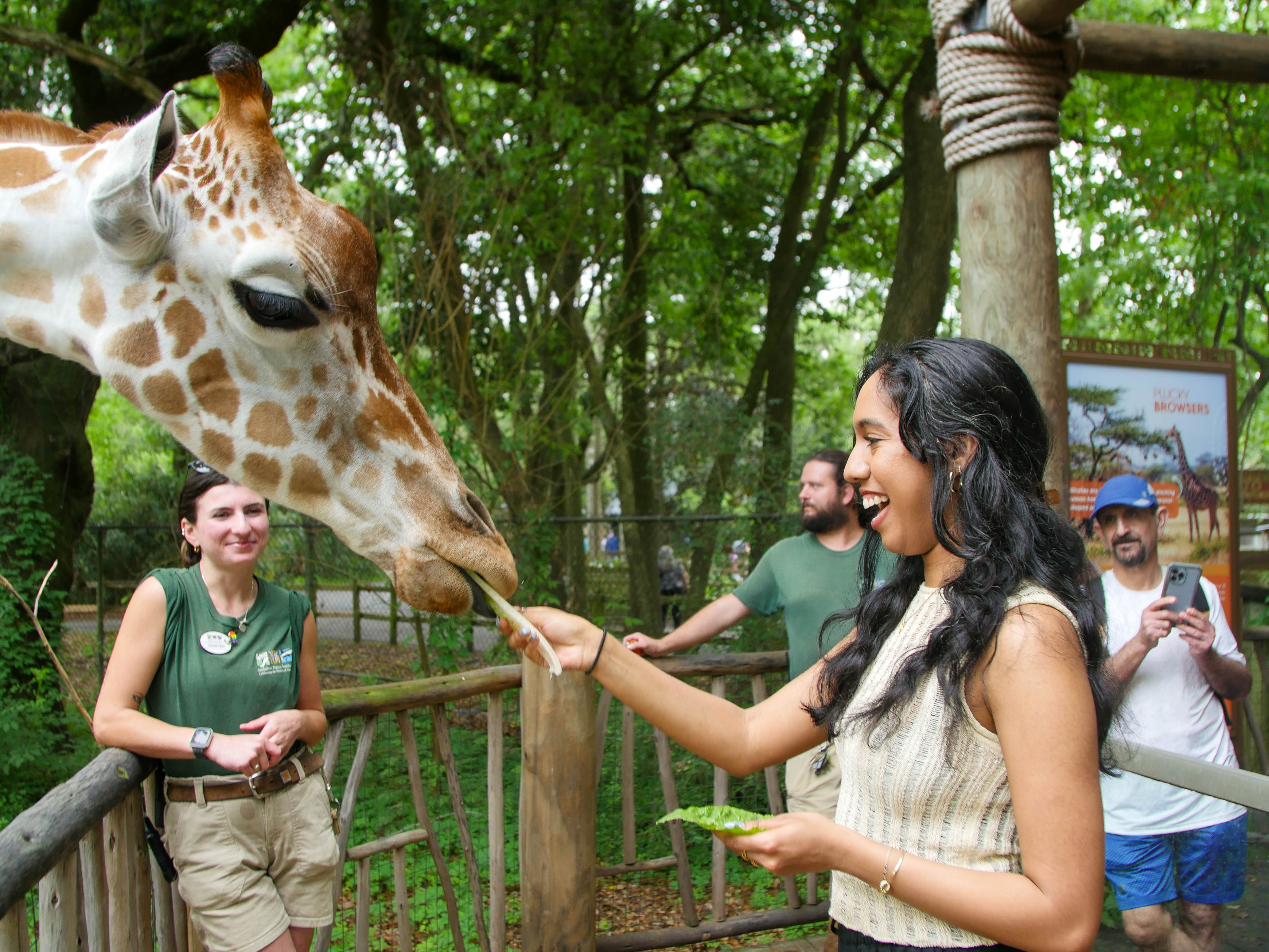 Feed a Giraffe at Audubon Zoo!