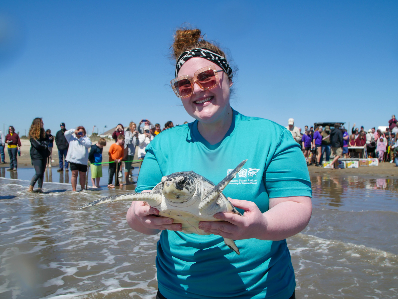 Audubon Aquarium Rescue Releases Turtles in Grand Isle