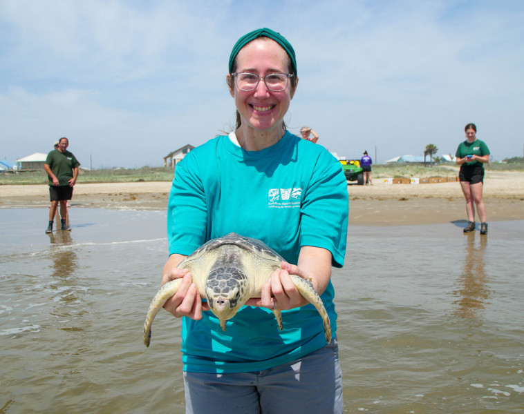 Audubon Aquarium Rescue Helps Stranded Marine Animals