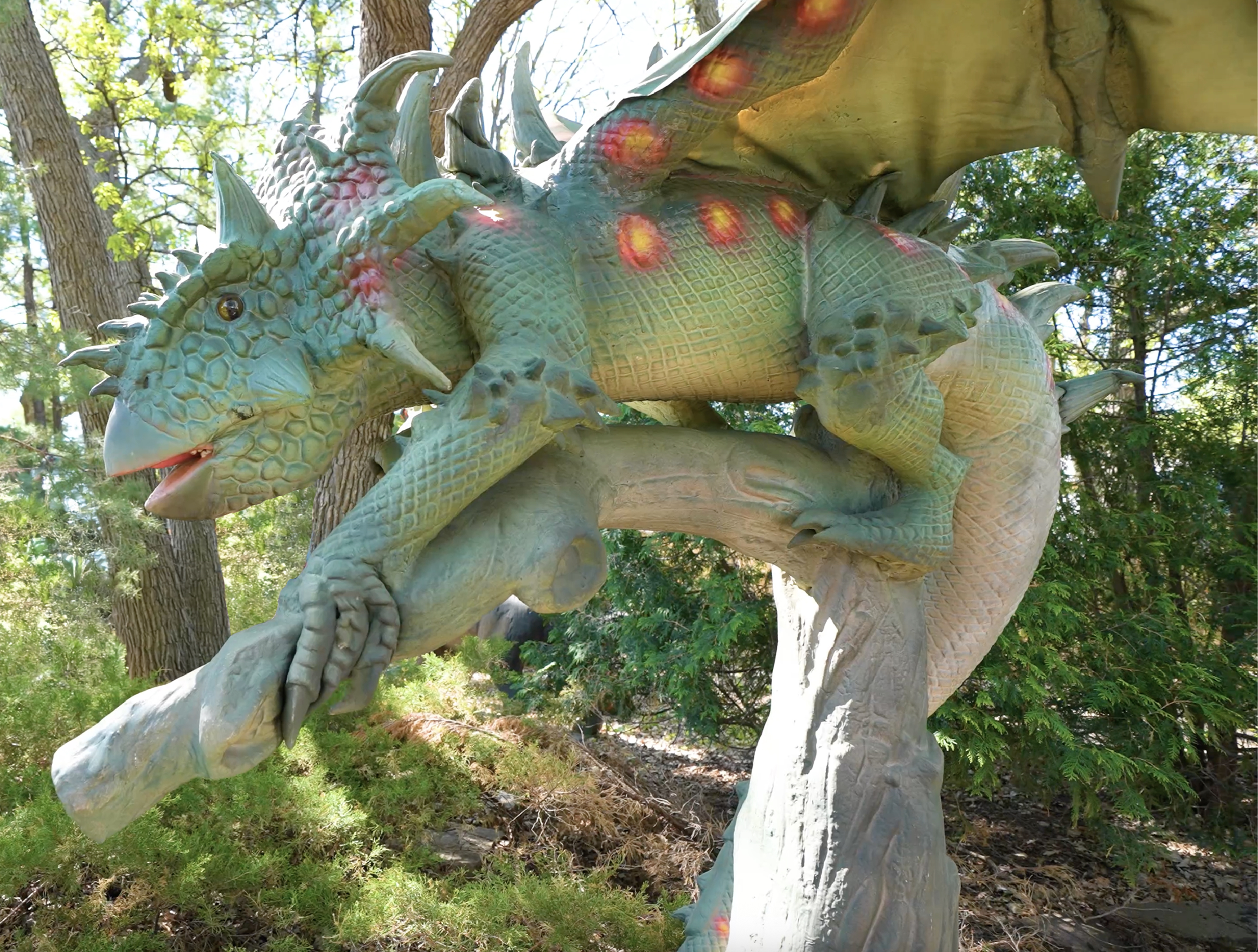 Dragons and Other Mythical Creatures Coming to Audubon Zoo