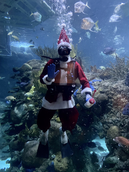 Scuba Claus Visits Audubon Aquarium This Weekend