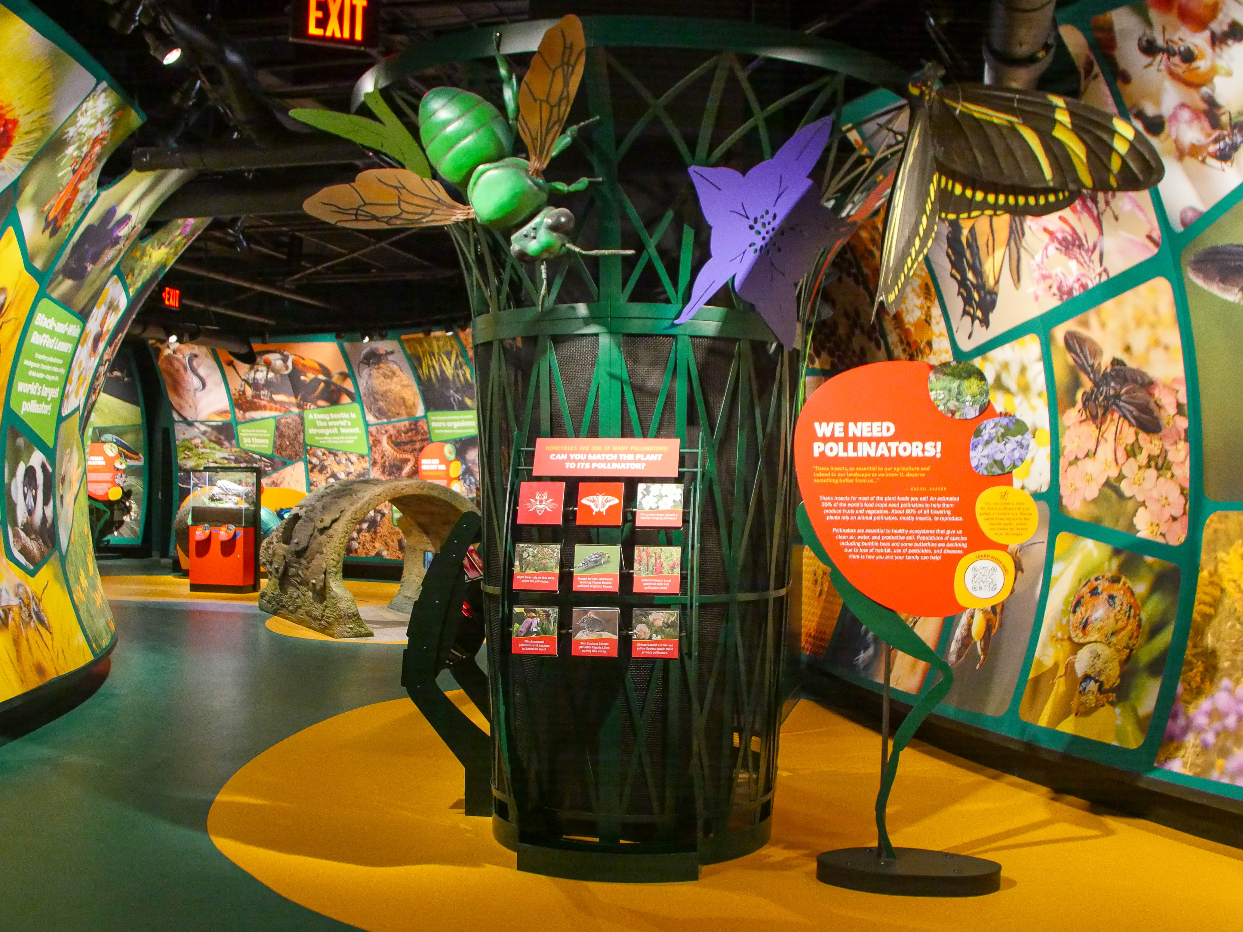 Audubon Aquarium and Audubon Insectarium Announce First Month ...