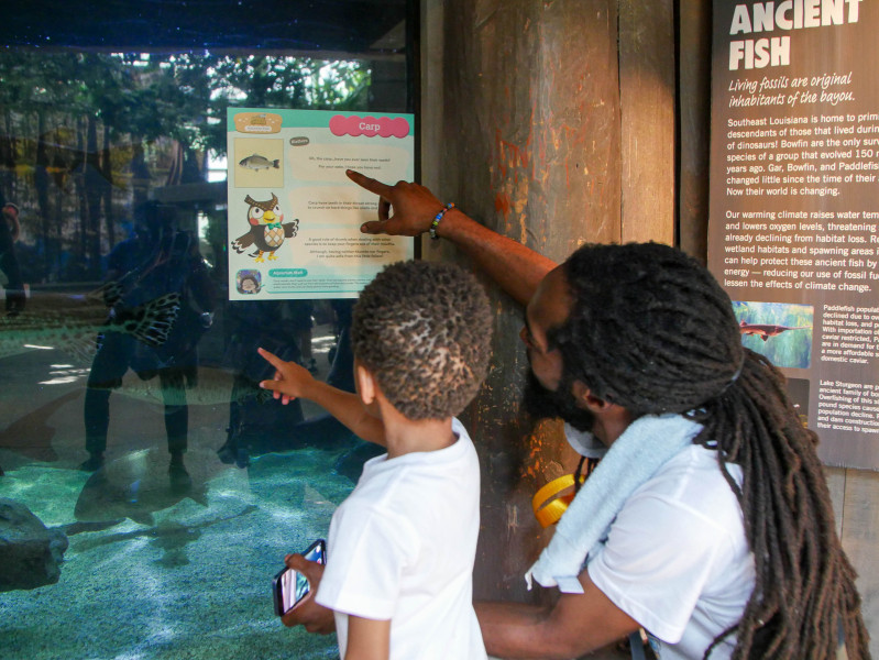 Audubon Aquarium Hosts Stamp Rally and Celebrates Members