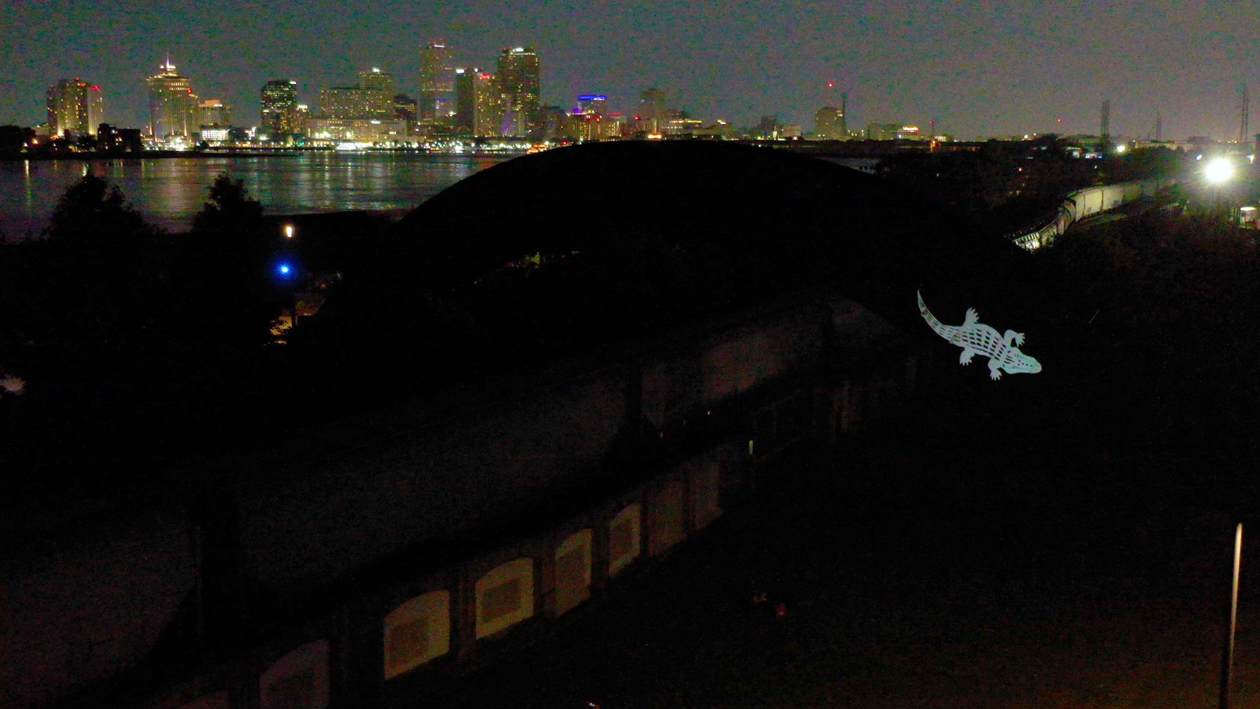 Dancing White Alligator Spotted Near Riverfront