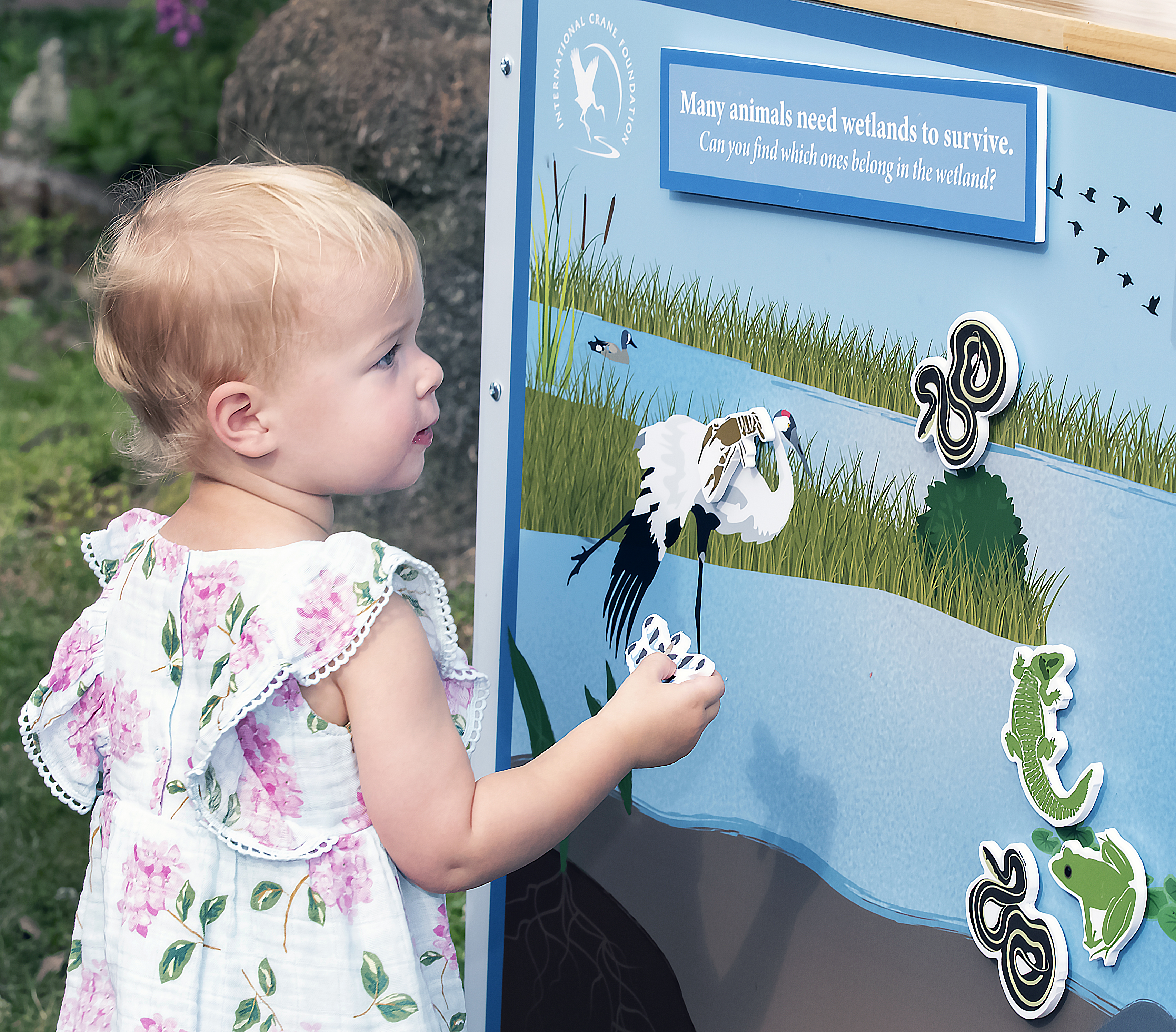 Audubon's Zoo-to-Do Events to Dazzle the Savanna This Year