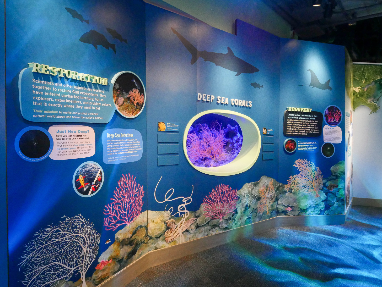 Audubon Aquarium's New "Deep Dive Into the Gulf" Exhibit Showcases Deep ...