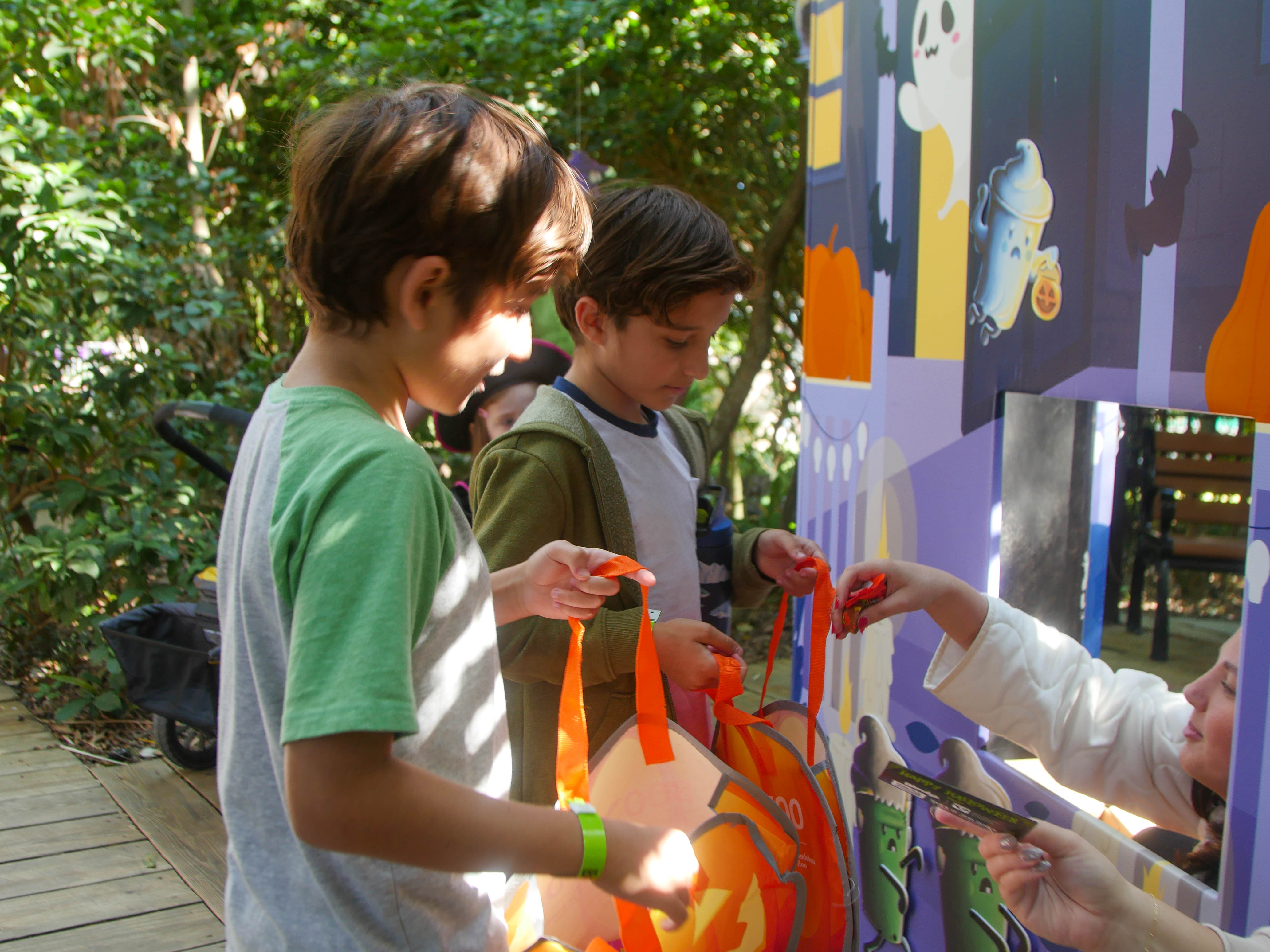 Get Ready to Boo at the Zoo!
