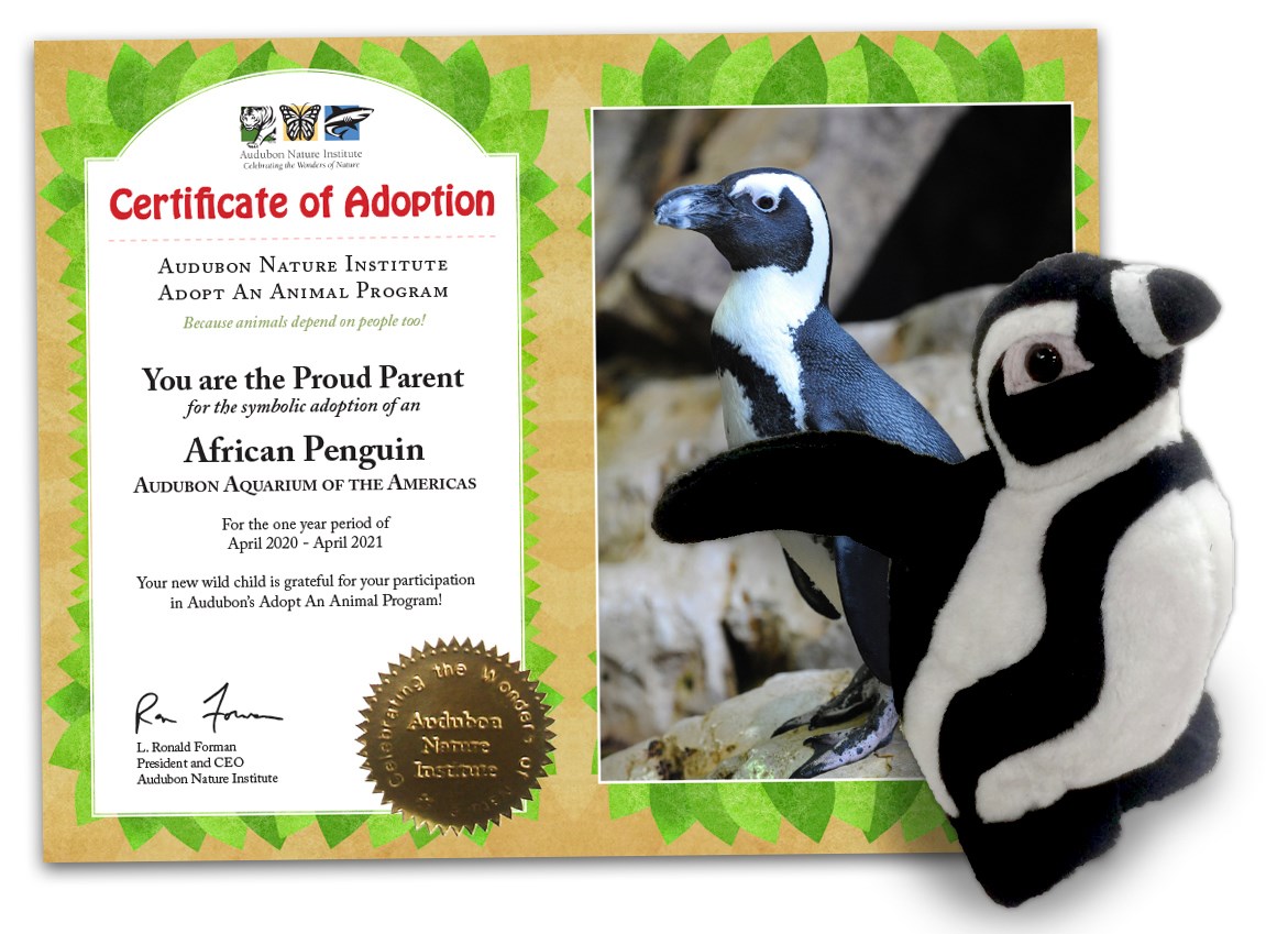 Audubon Nature Institute’s Holiday Gifts that Give