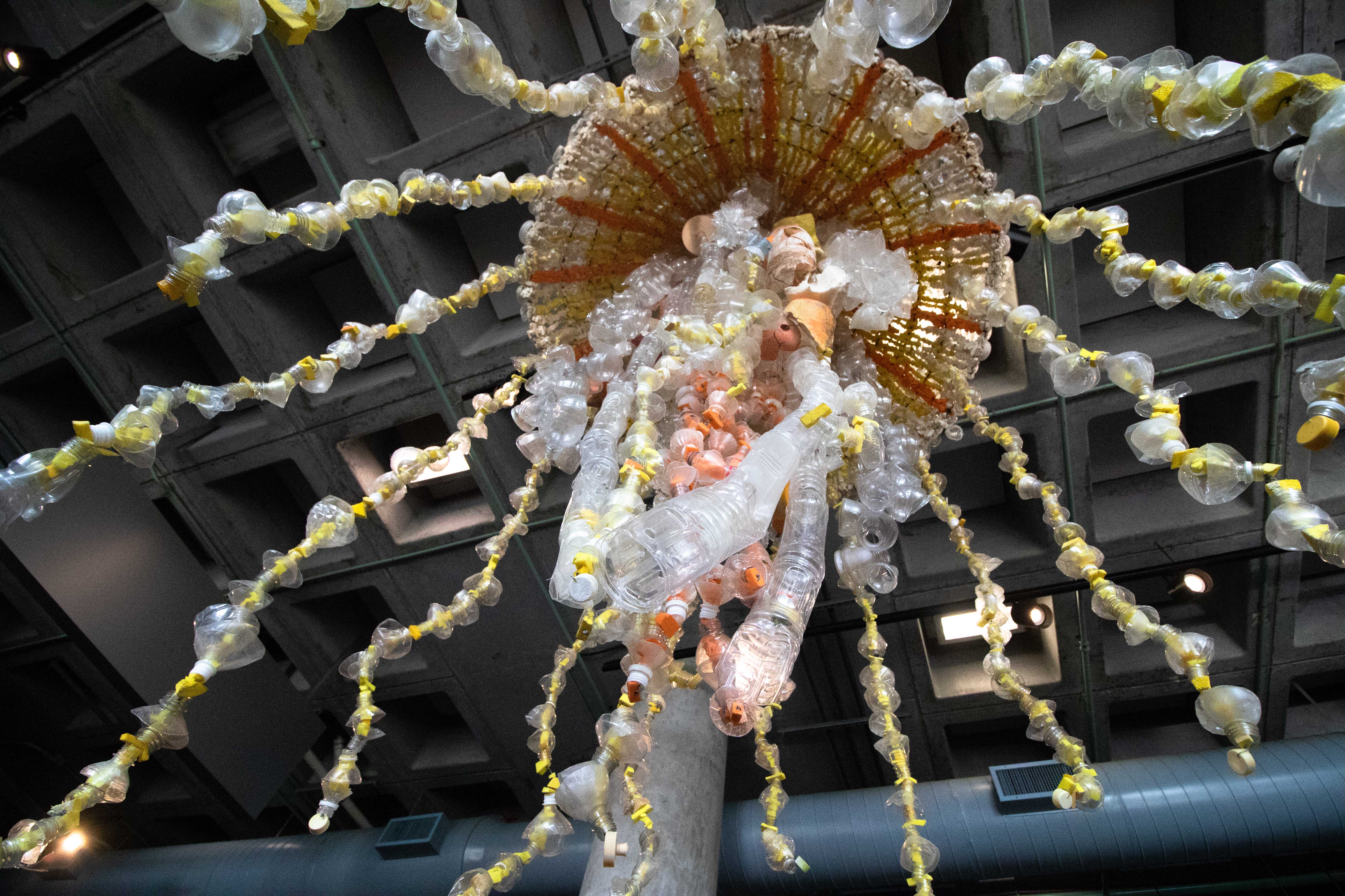 Audubon Aquarium of the Americas and Audubon Zoo Welcome Second Wave of ...