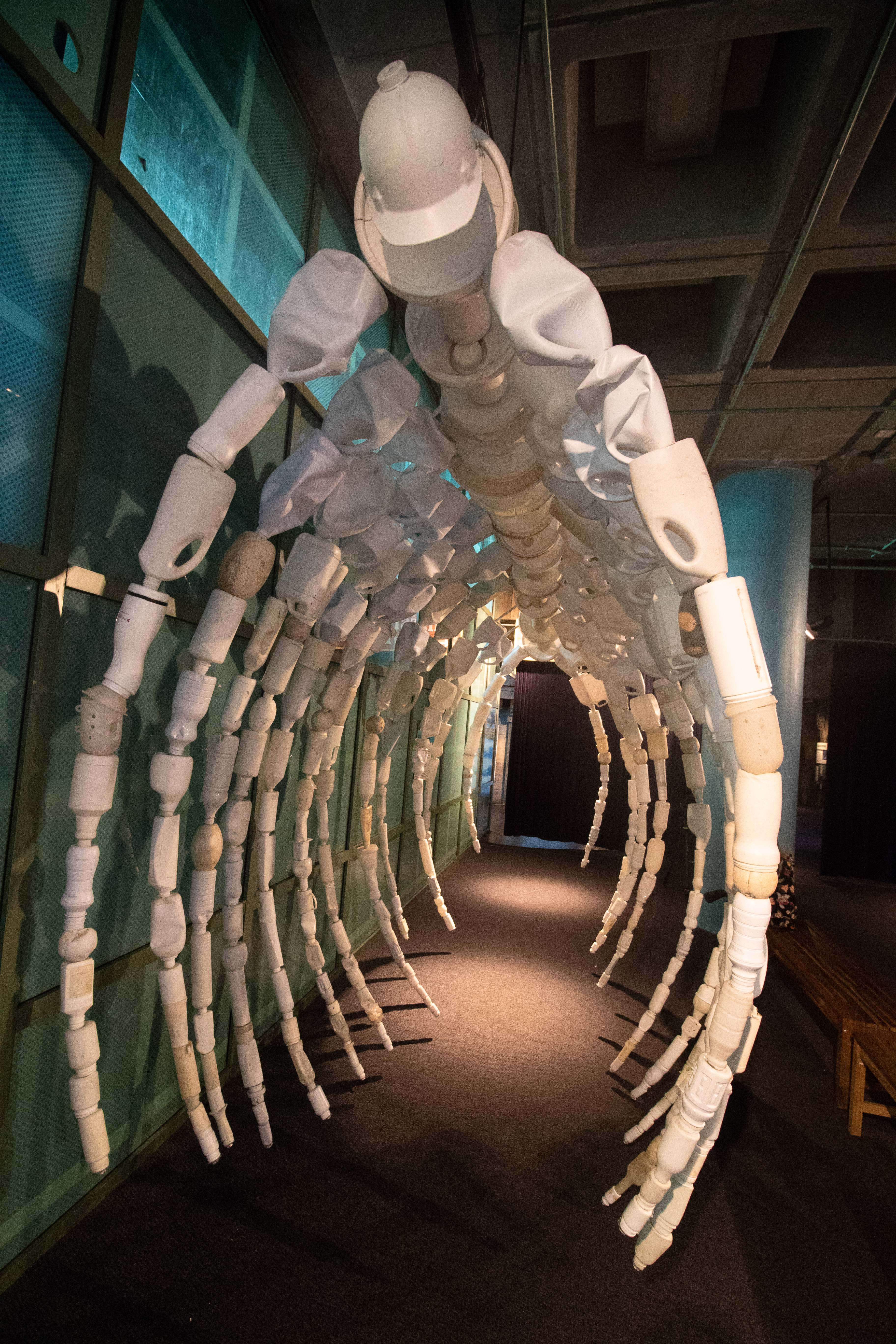 Audubon Aquarium of the Americas and Audubon Zoo Welcome Second Wave of ...