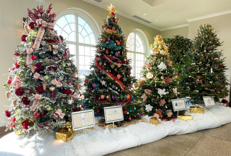 Celebrate National Christmas Tree Day 2024 in Hershey, PA