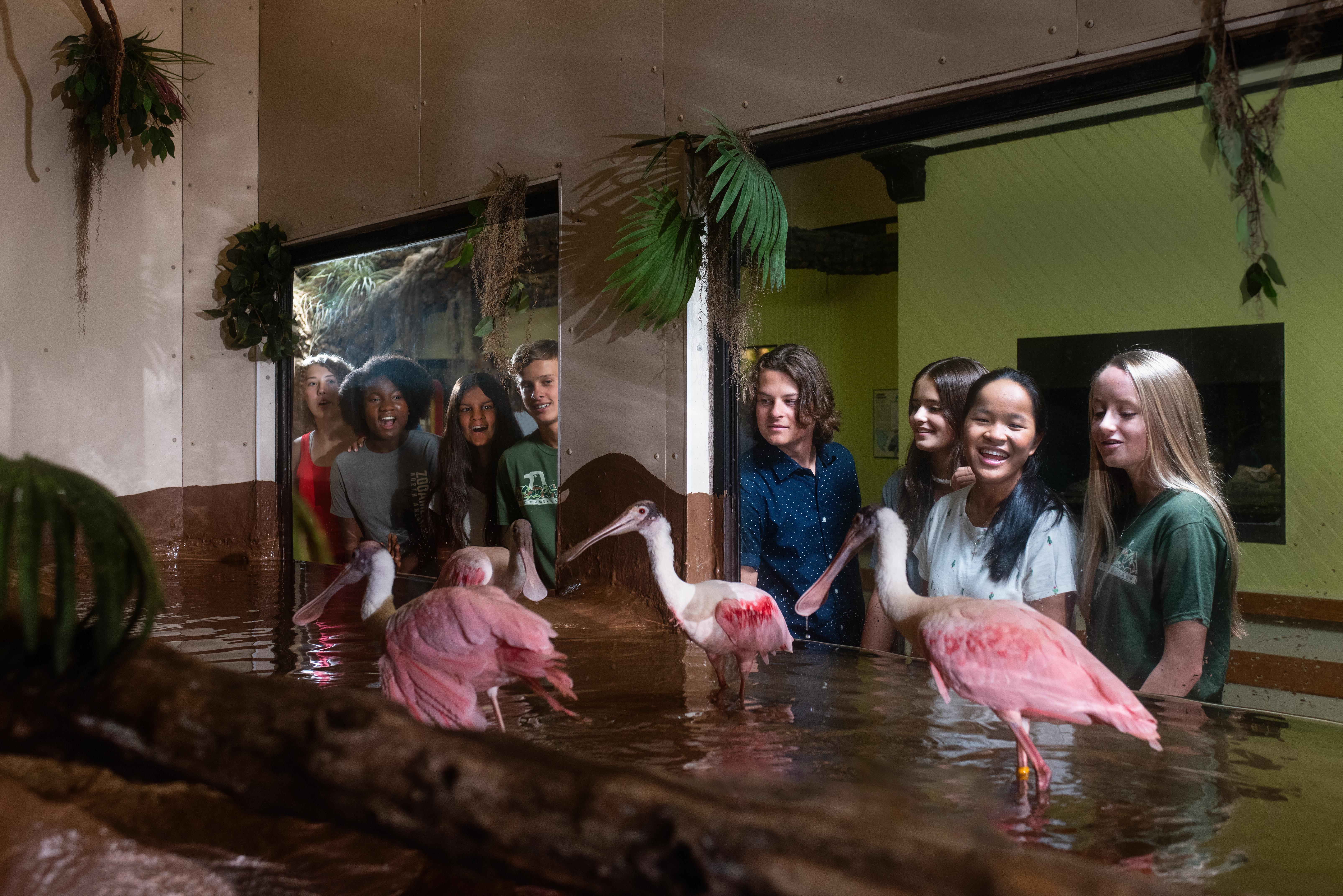 ZooAmerica Summer 2025 ZooCamp Registration Now Open