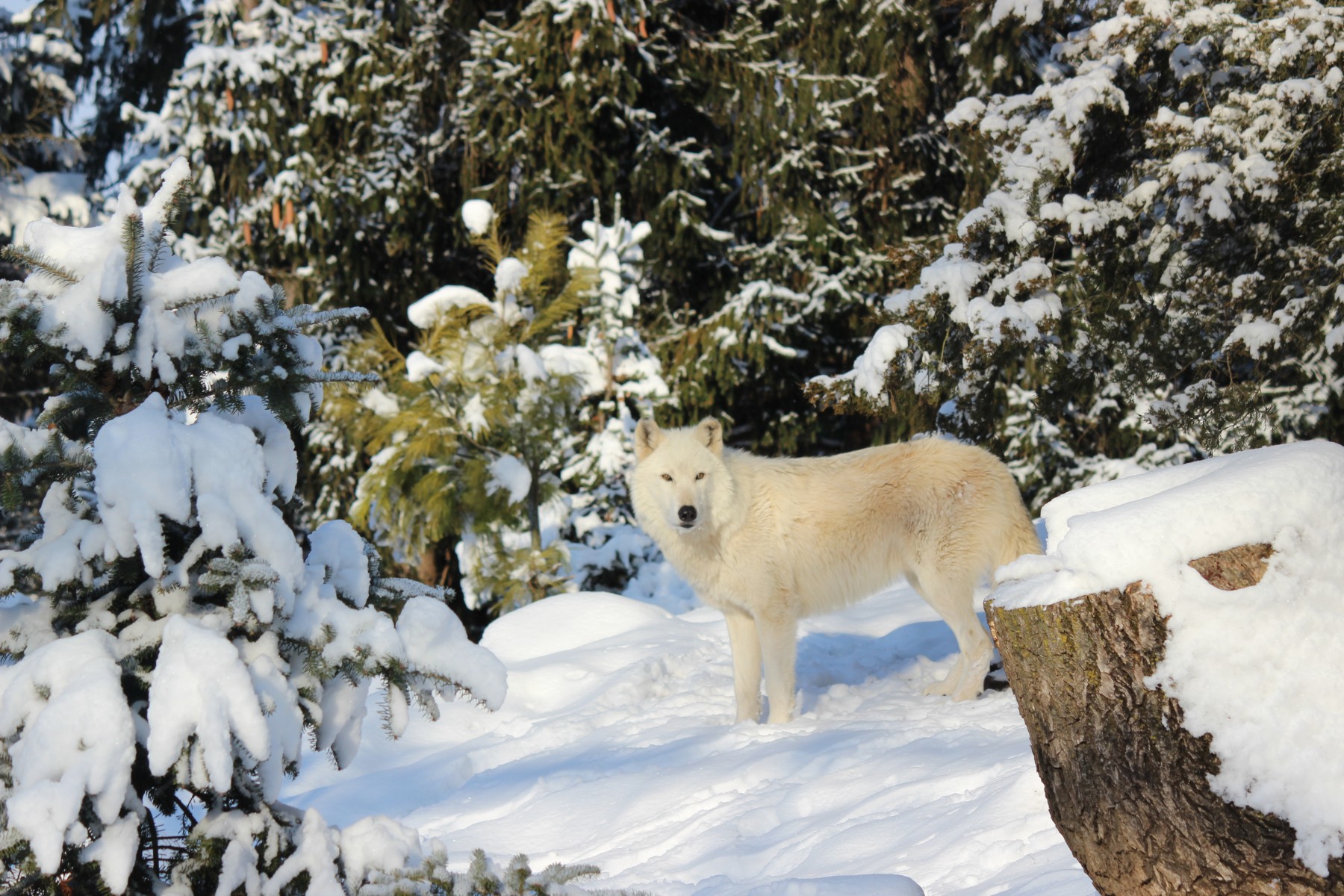 Spend Presidents Day Weekend in Hershey