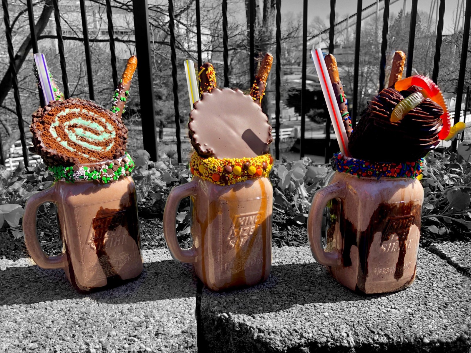 National Chocolate Ice Cream Day at Hersheypark