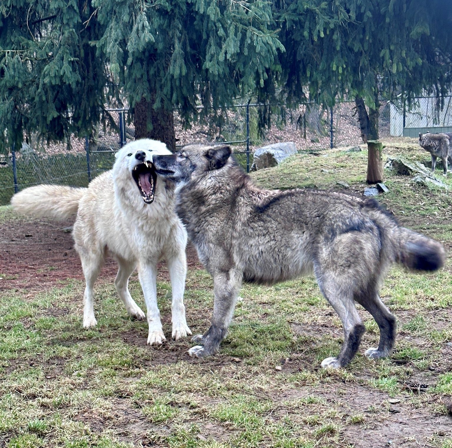 ZooAmerica Earth Day 2023