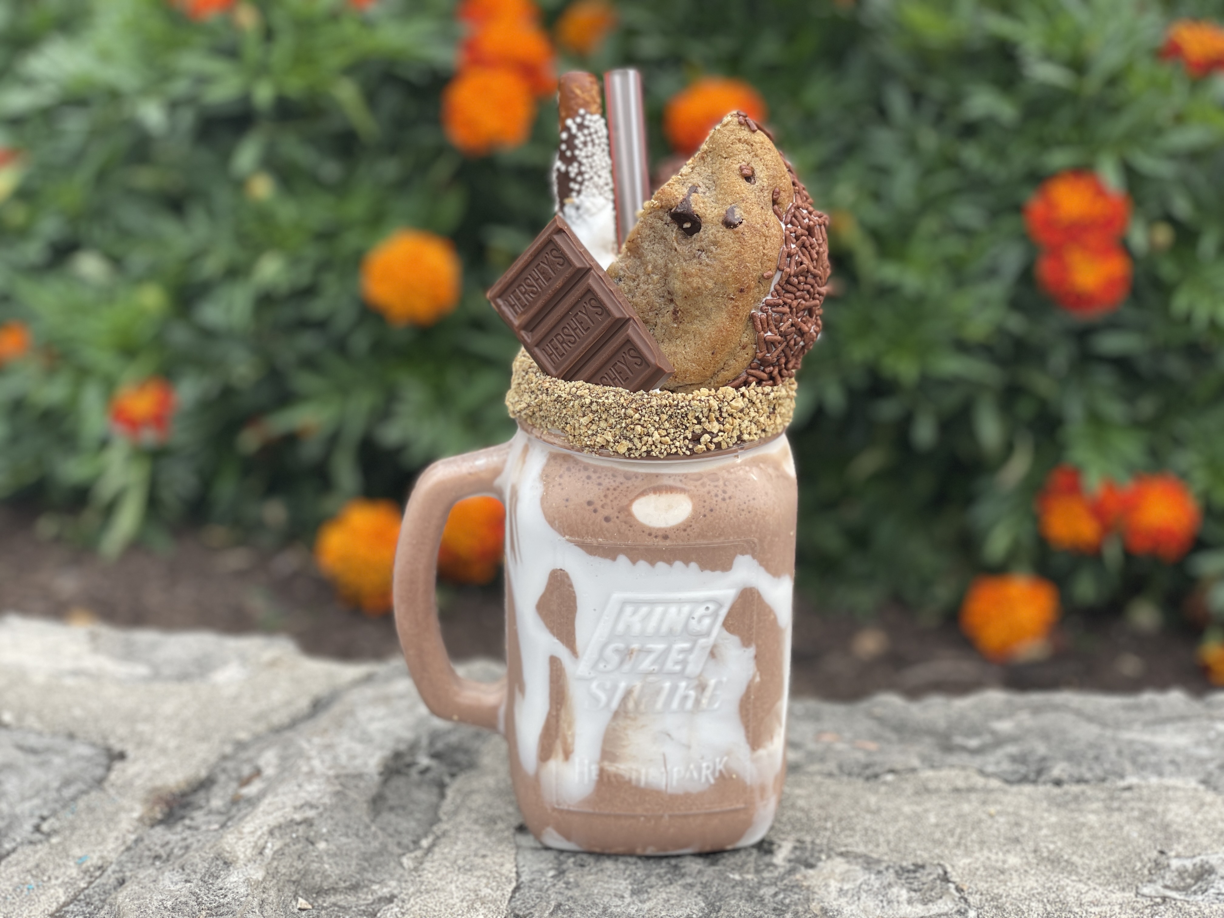 Celebrate National S'mores Week at Hersheypark