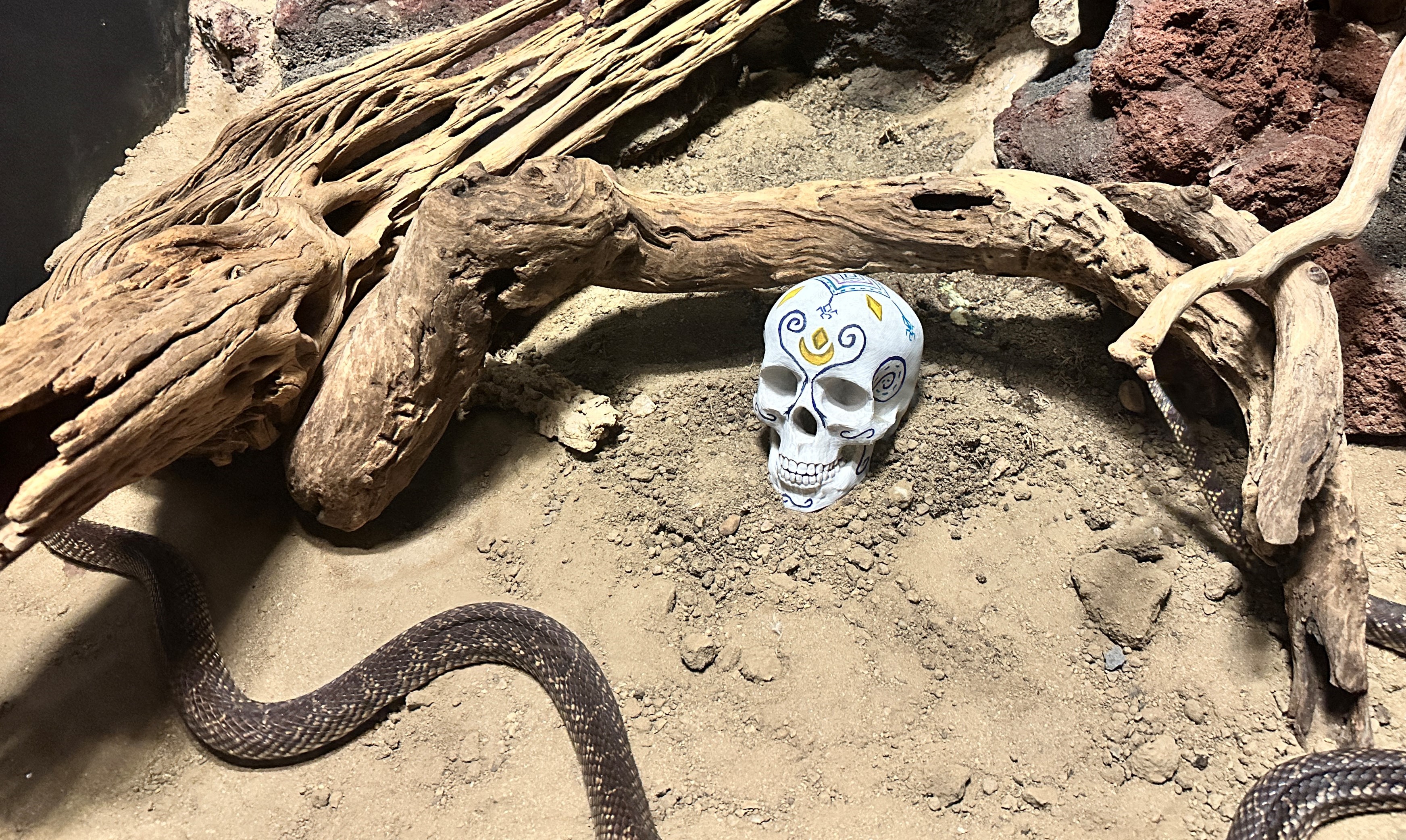 ZooAmerica Open After Dark for Creatures Of The Night 2025