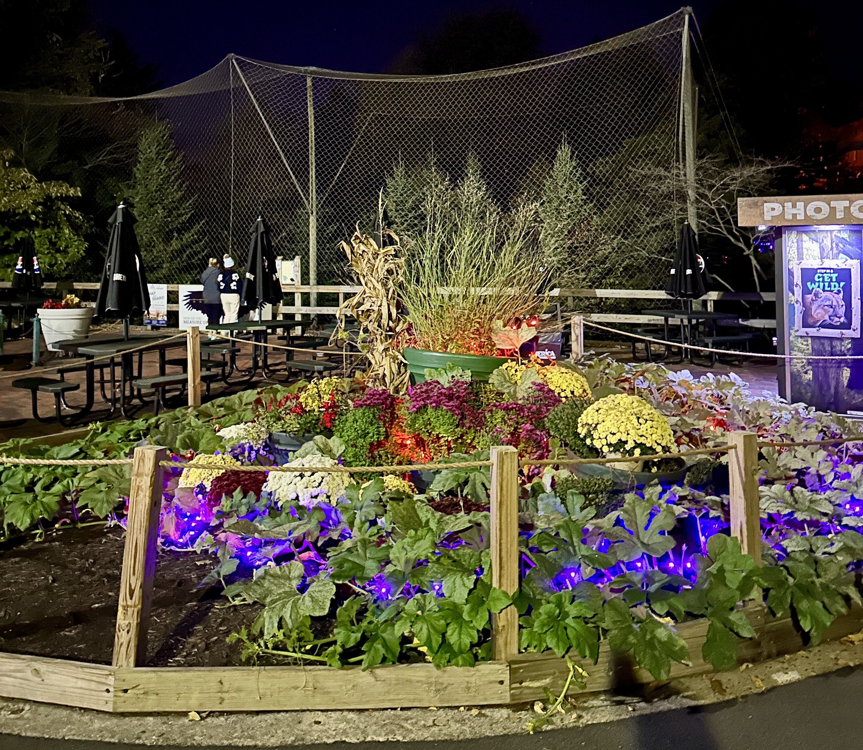 Top 10 Things to Do at ZooAmerica Creatures Of The Night