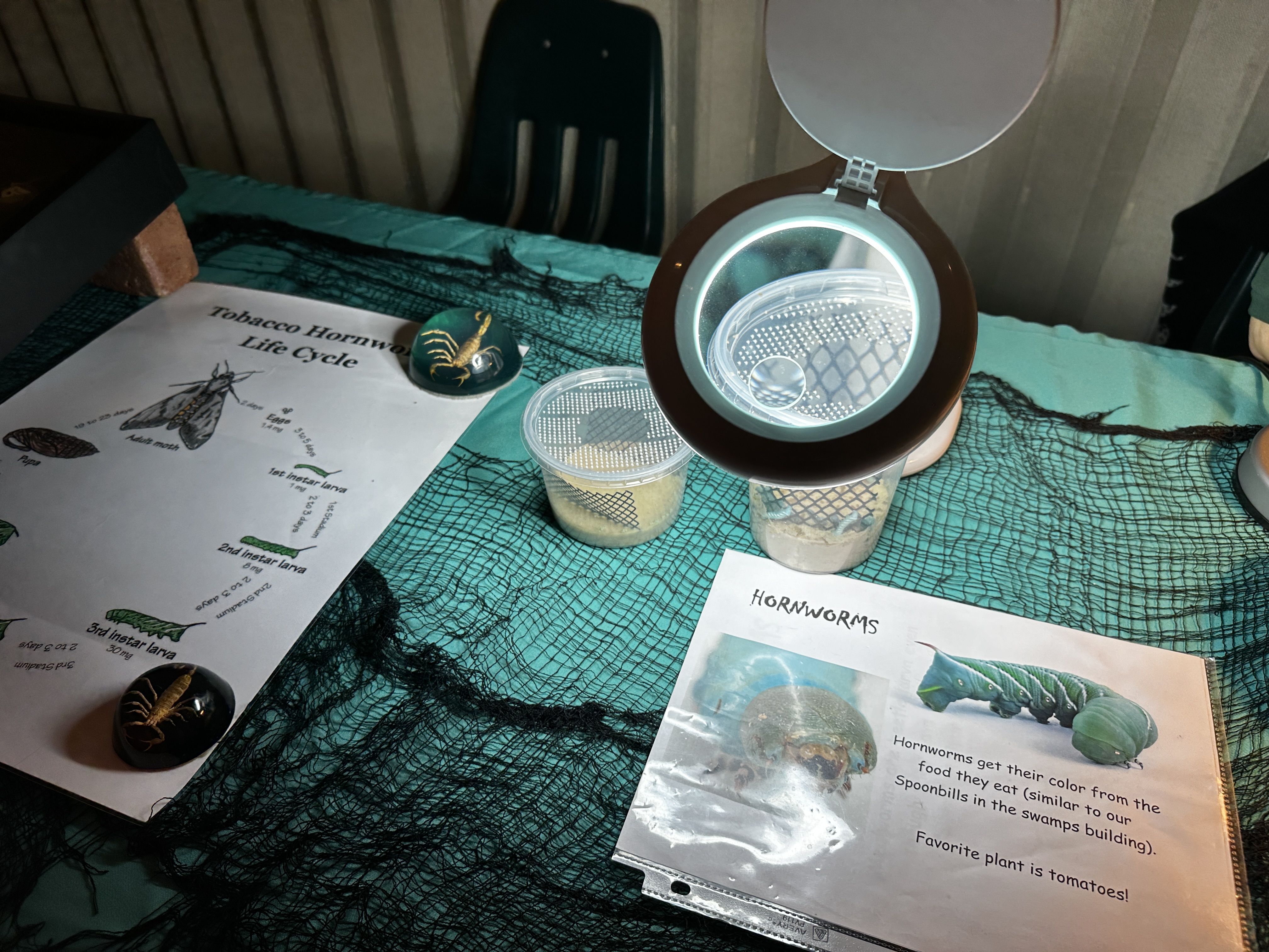 ZooAmerica Open After Dark for Creatures Of The Night 2025